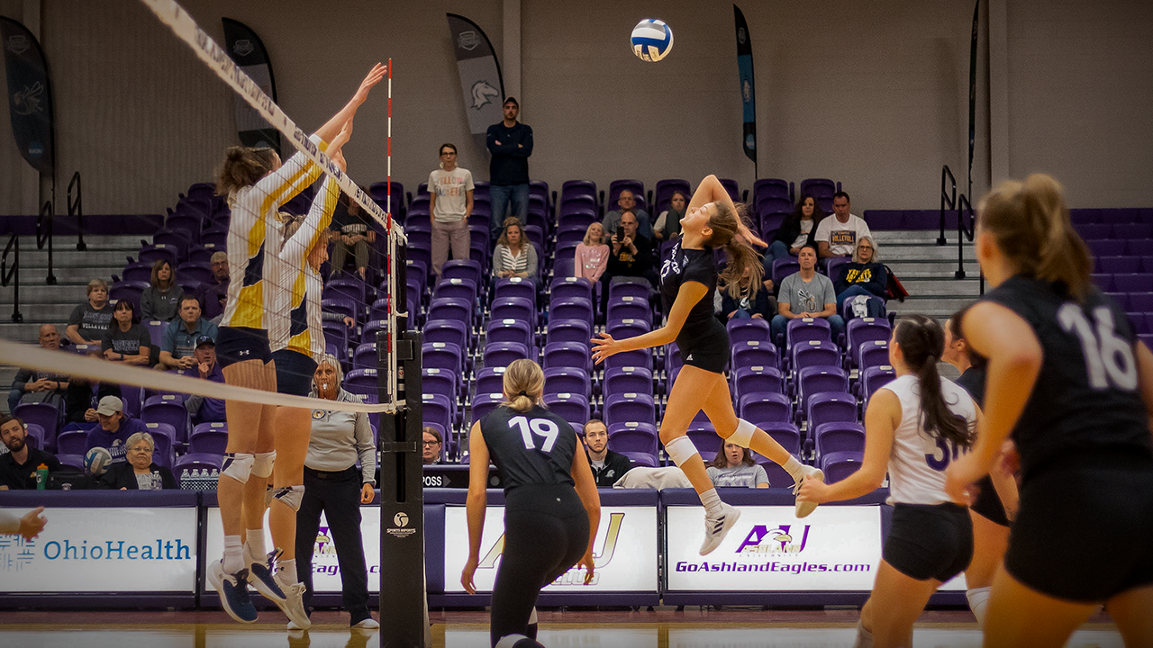 Trevecca Volleyball | Trojans Punch Ticket to Great Midwest Finals with 3-1 over Tiffin ...
