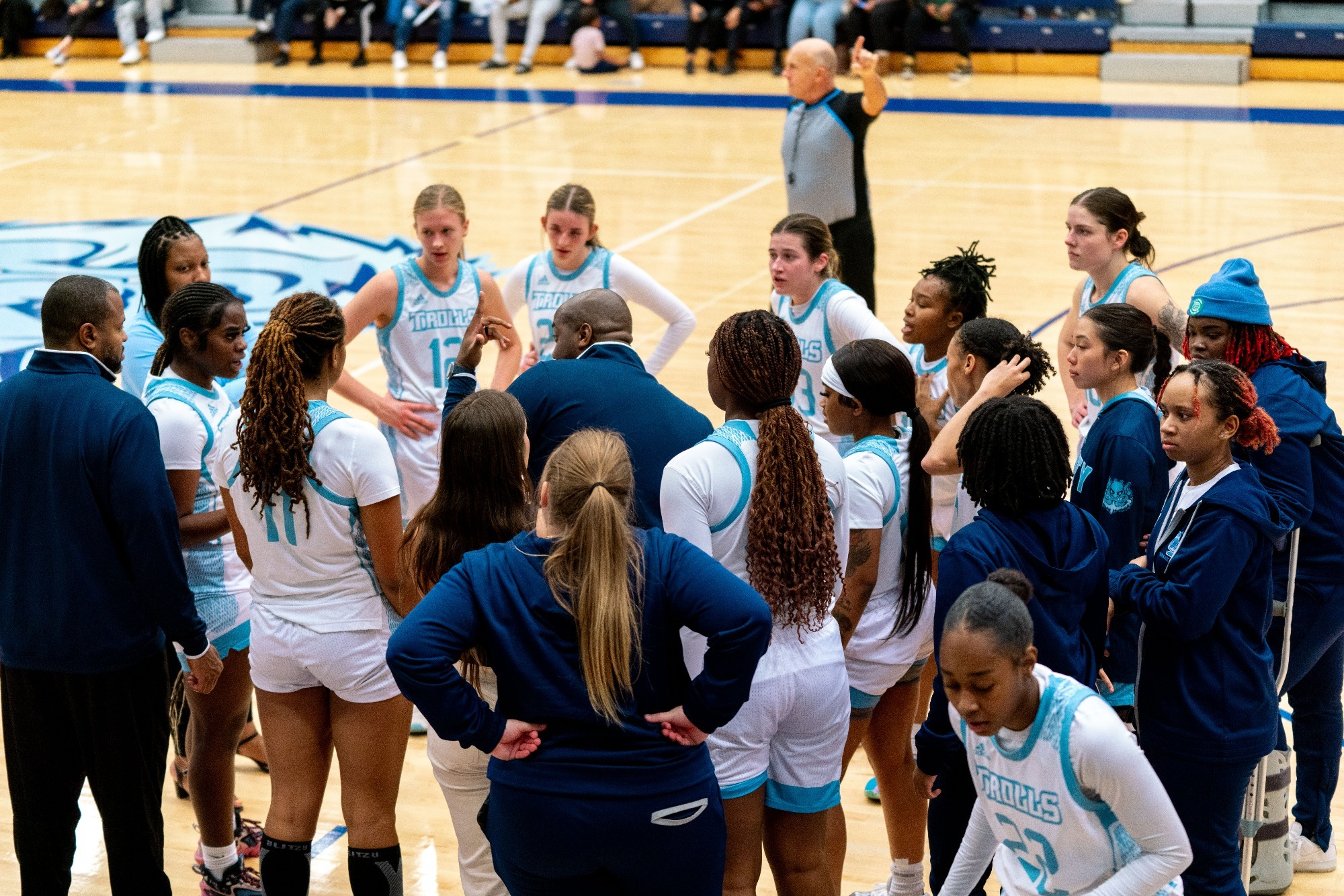 Trolls fall short at Roosevelt - Trinity Christian College