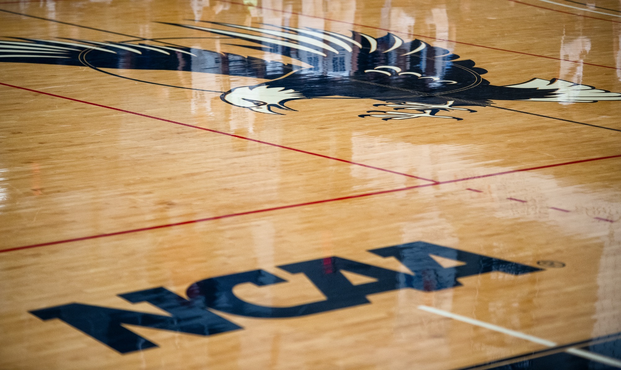 UMW's Blue, Robinson Named to VaSID All-State Men's Basketball Team ...