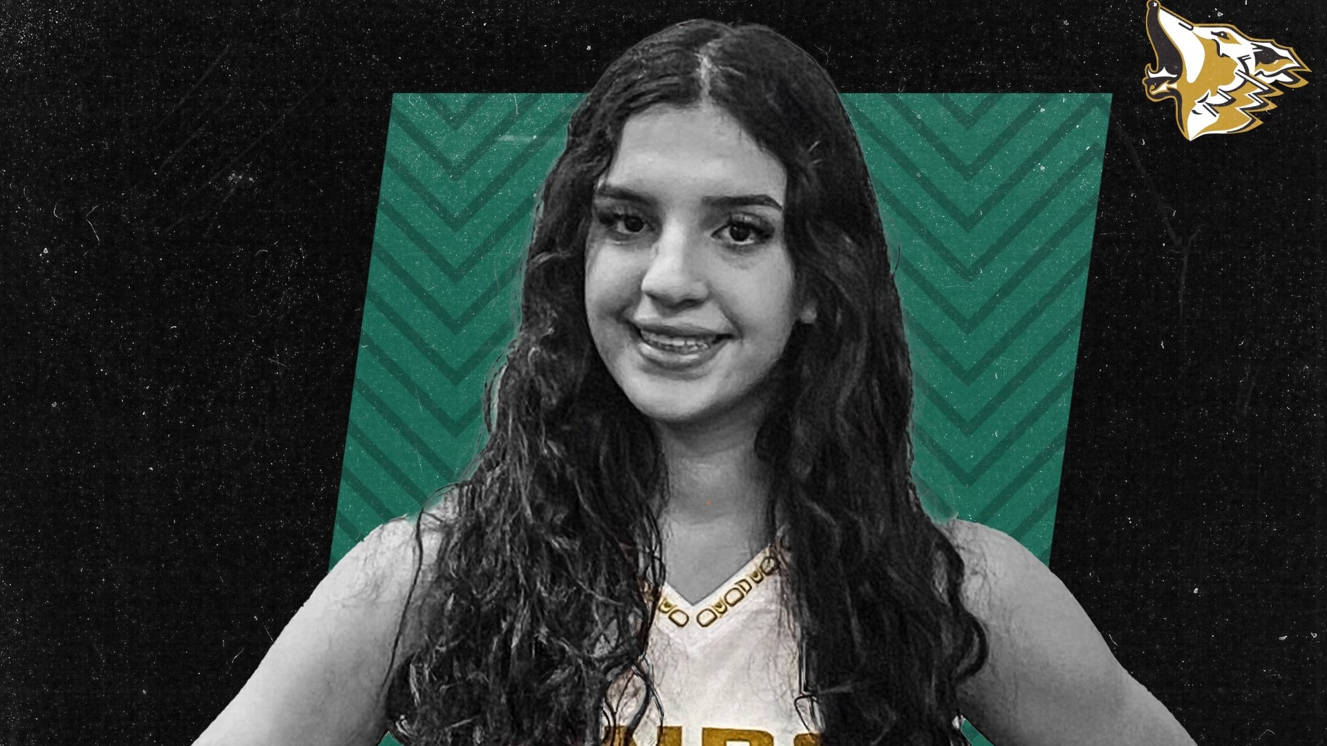 WBB: TWolves Add Height, Leadership, and Skill with the Addition of ...