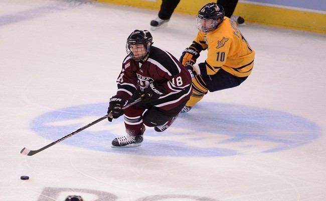 Max Novak - 2014-15 - Men's Ice Hockey - Union College Athletics