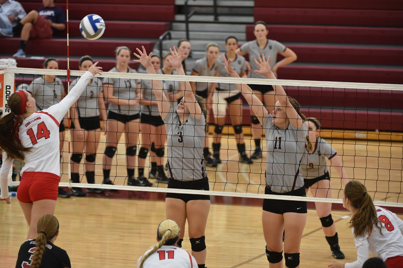 Ally VanDoren - 2016 - Women's Volleyball - Union College Athletics