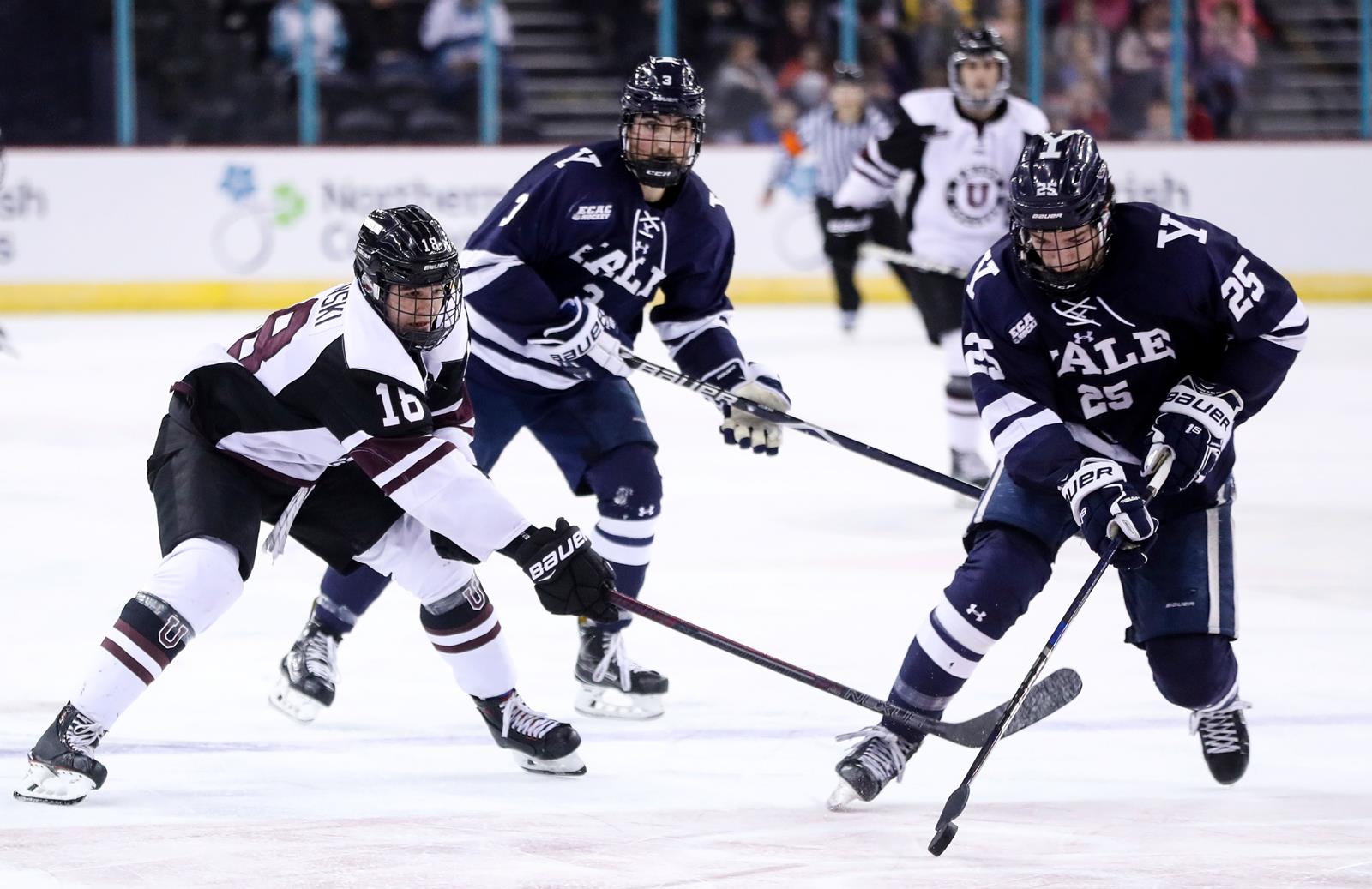 Brett Supinski - 2018-19 - Men's Ice Hockey - Union College Athletics