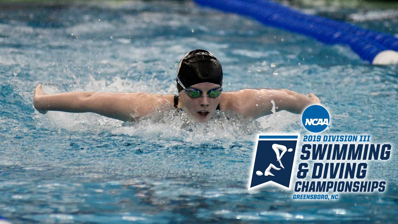 Kelly Finishes NCAAs by Placing 11th in 200 Fly - Union College Athletics