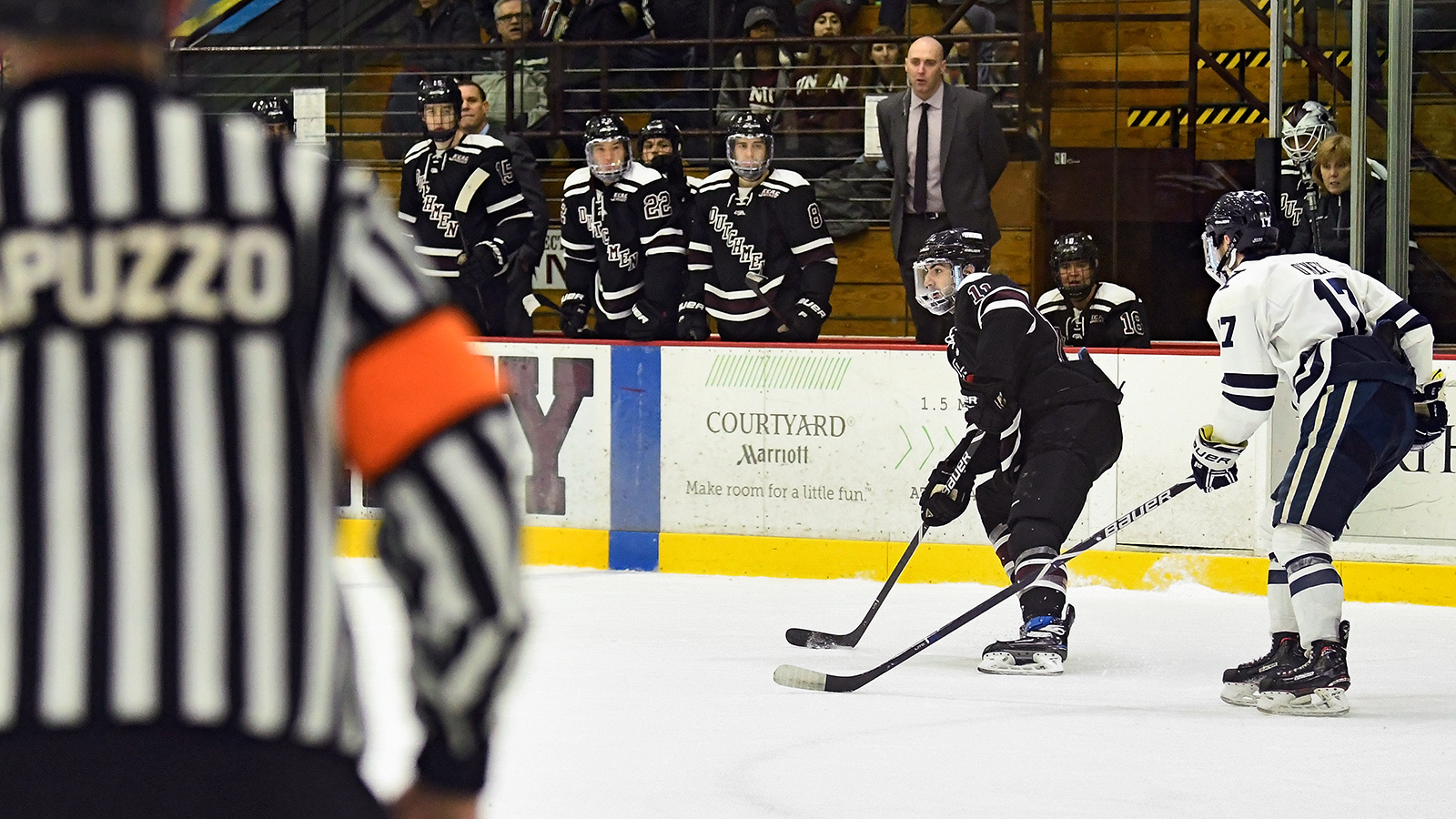 Mark Dufour - 2018-19 - Men's Ice Hockey - Union College Athletics