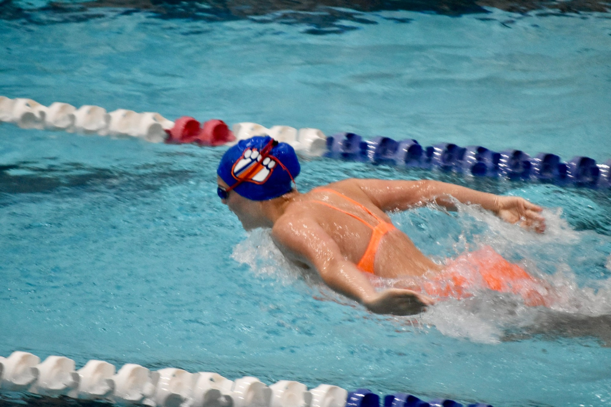 Women’s Swimming Wins at Home - United States Coast Guard Academy
