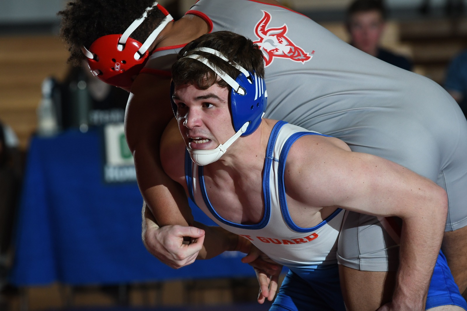 Bears Take Two on The Road - United States Coast Guard Academy