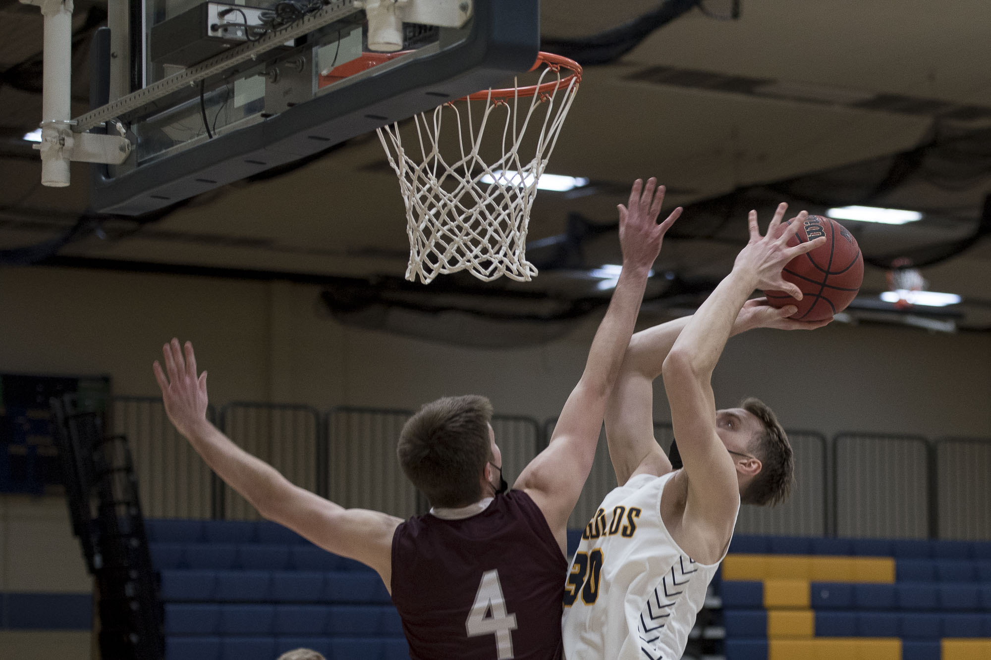 Blugolds fall to Eagles, 64-56 - University of Wisconsin, Eau Claire