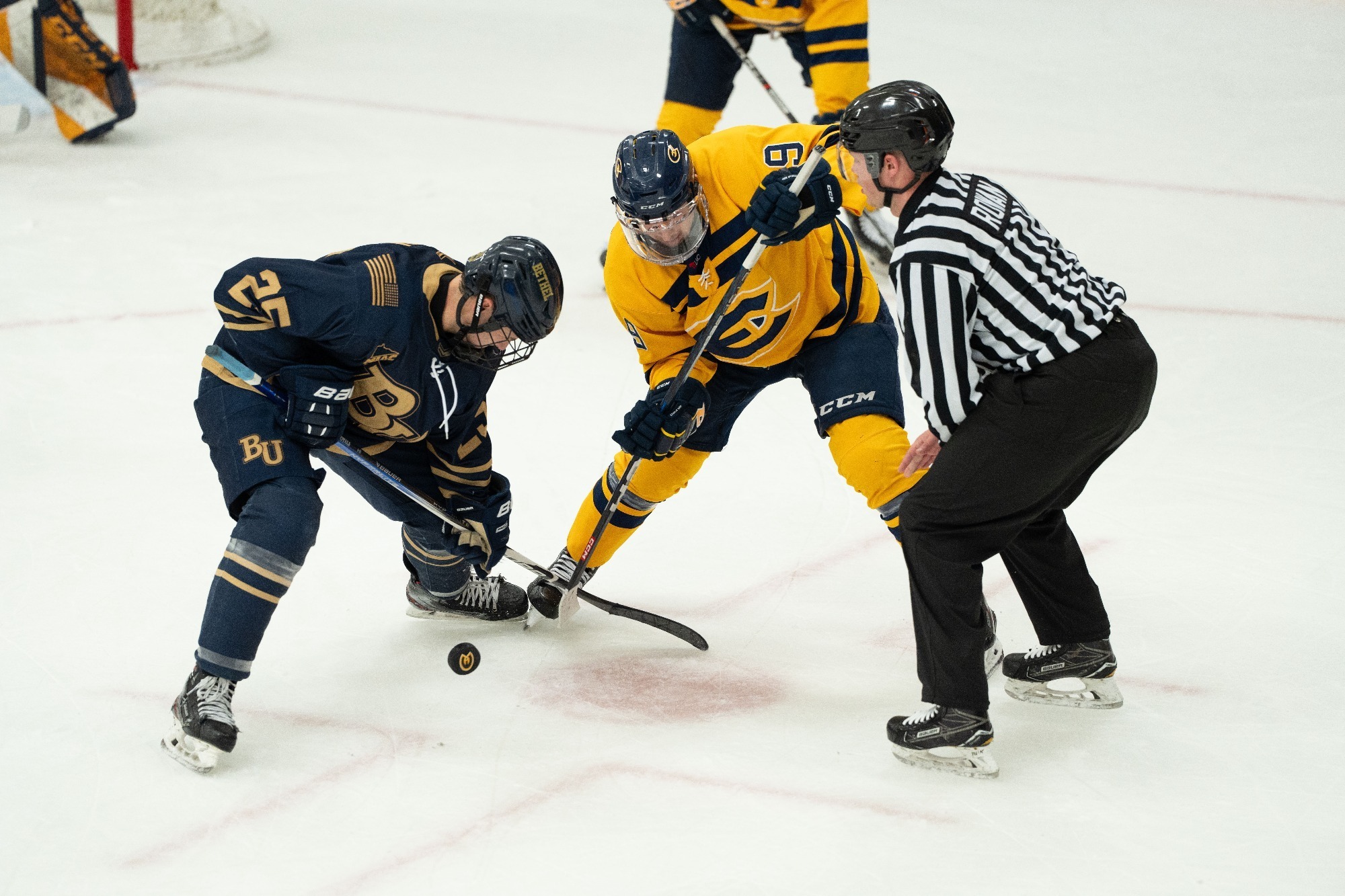 Fifth-ranked Blugolds skate to 2-2 tie with Royals - University of ...
