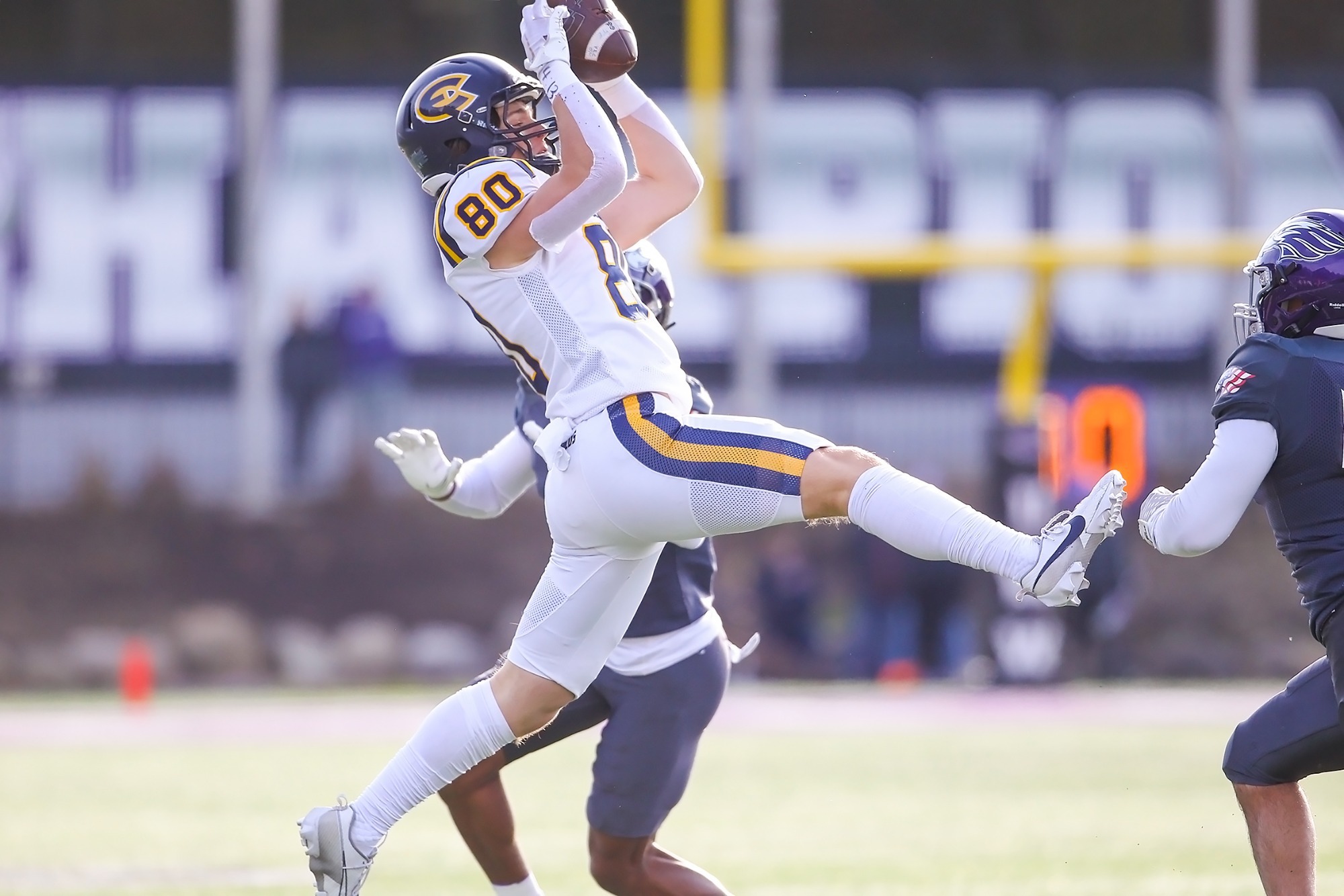 Blugolds finish season at #5 UW-Whitewater - University of Wisconsin ...