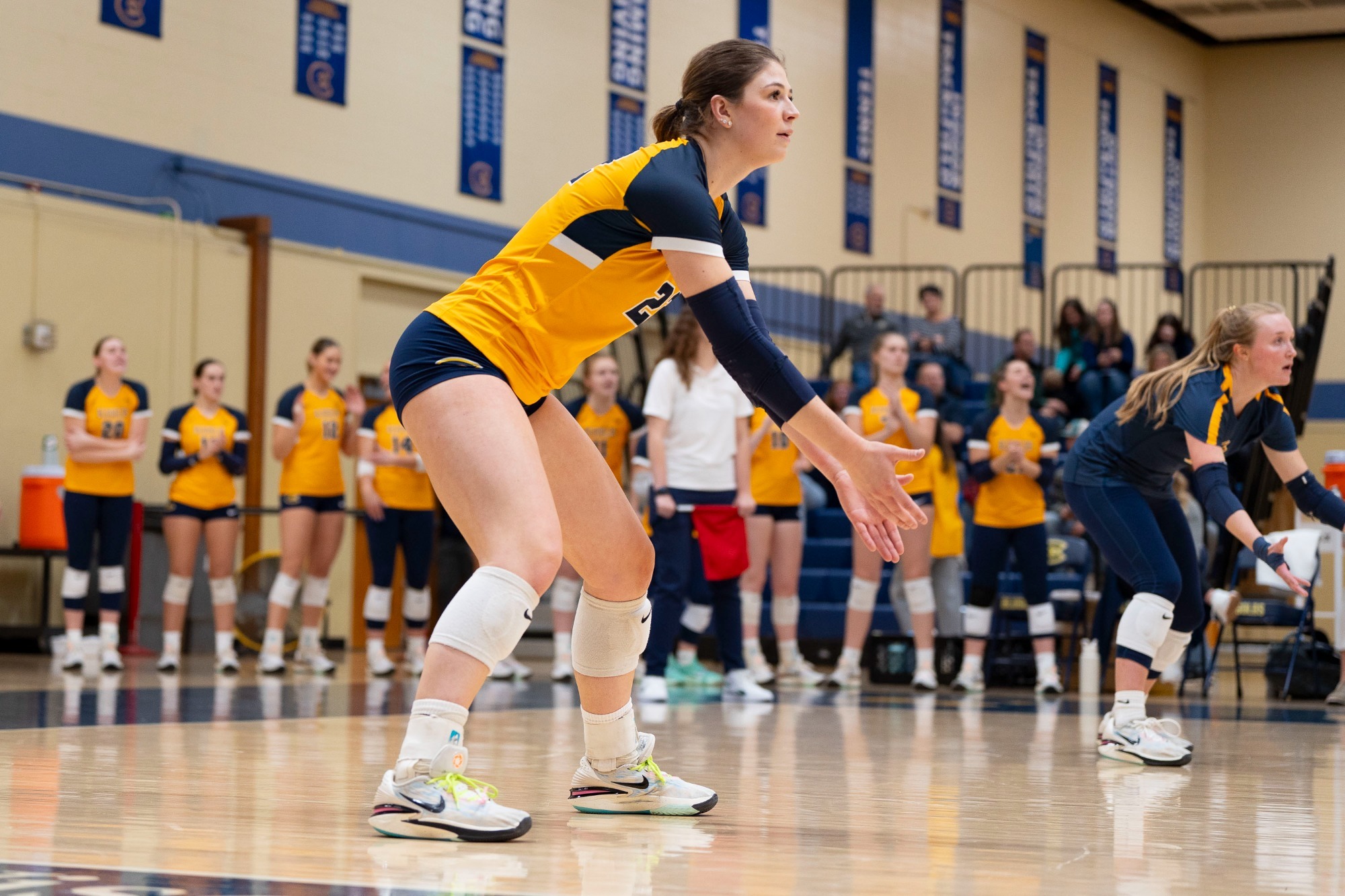 Avery Pennekamp - 2023-24 - Women's Volleyball - University of ...