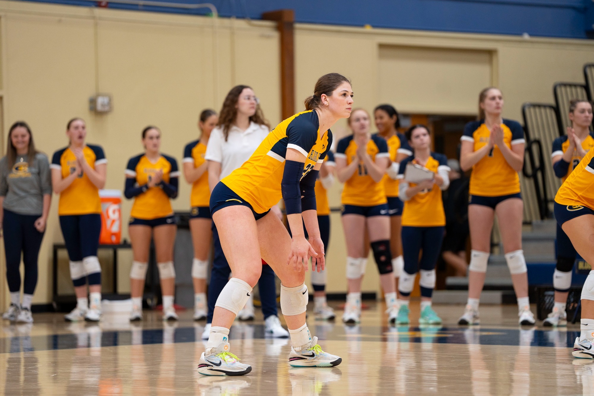 Avery Pennekamp - 2023-24 - Women's Volleyball - University of ...