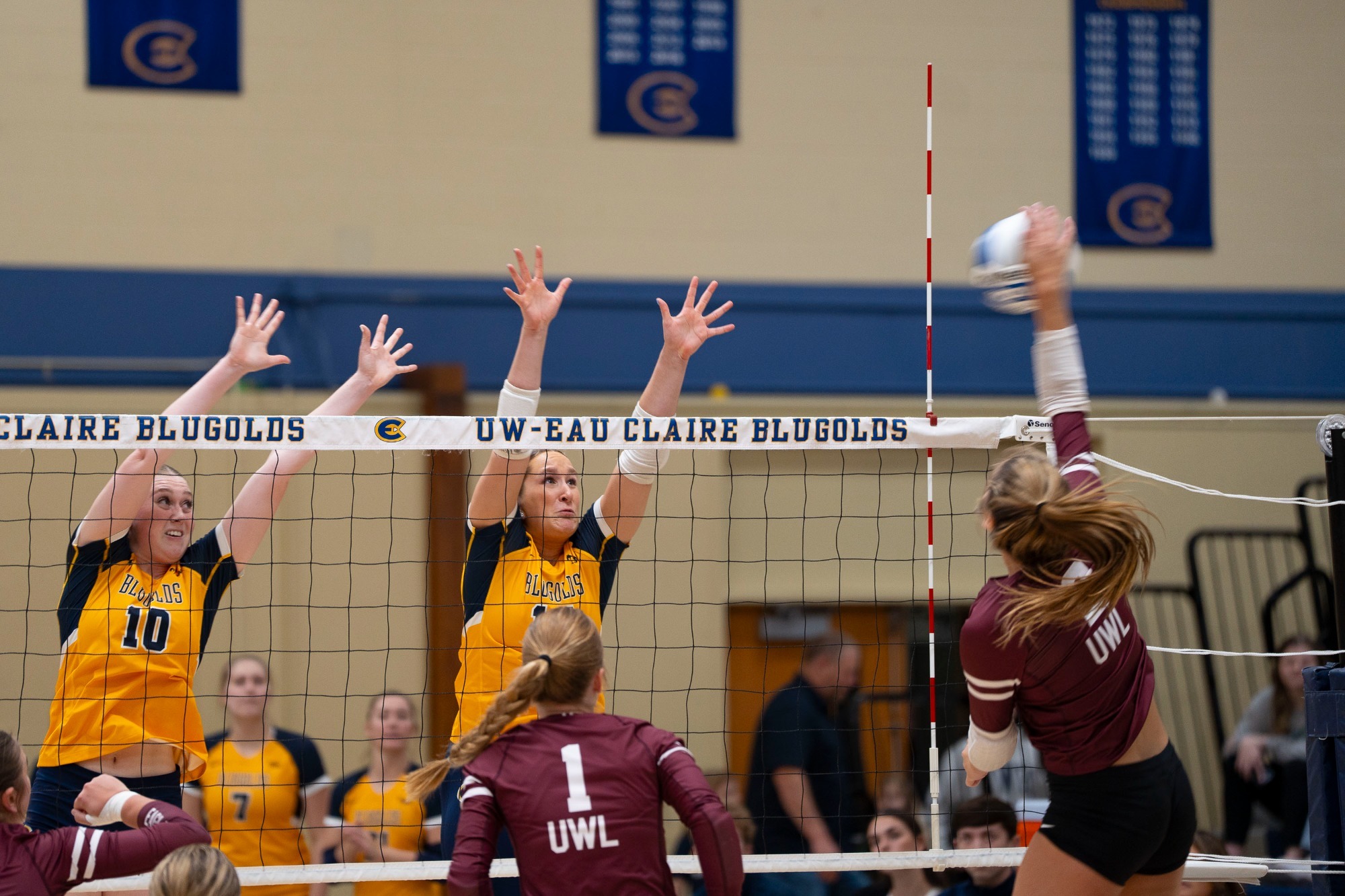 Darienne Andre - 2023-24 - Women's Volleyball - University of Wisconsin ...