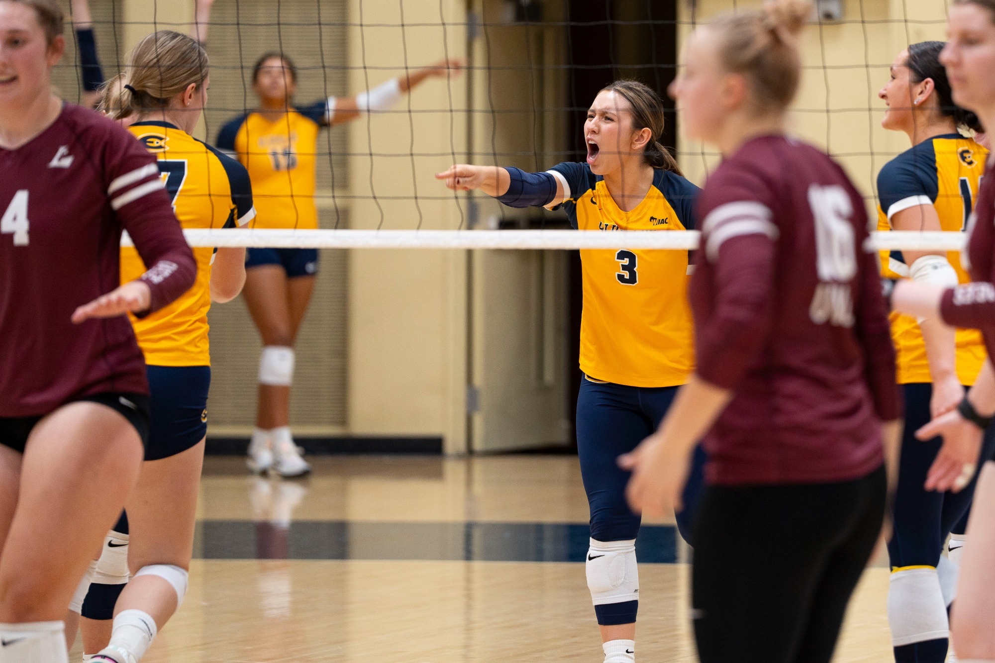 MacKenzie Houser - 2023-24 - Women's Volleyball - University of ...