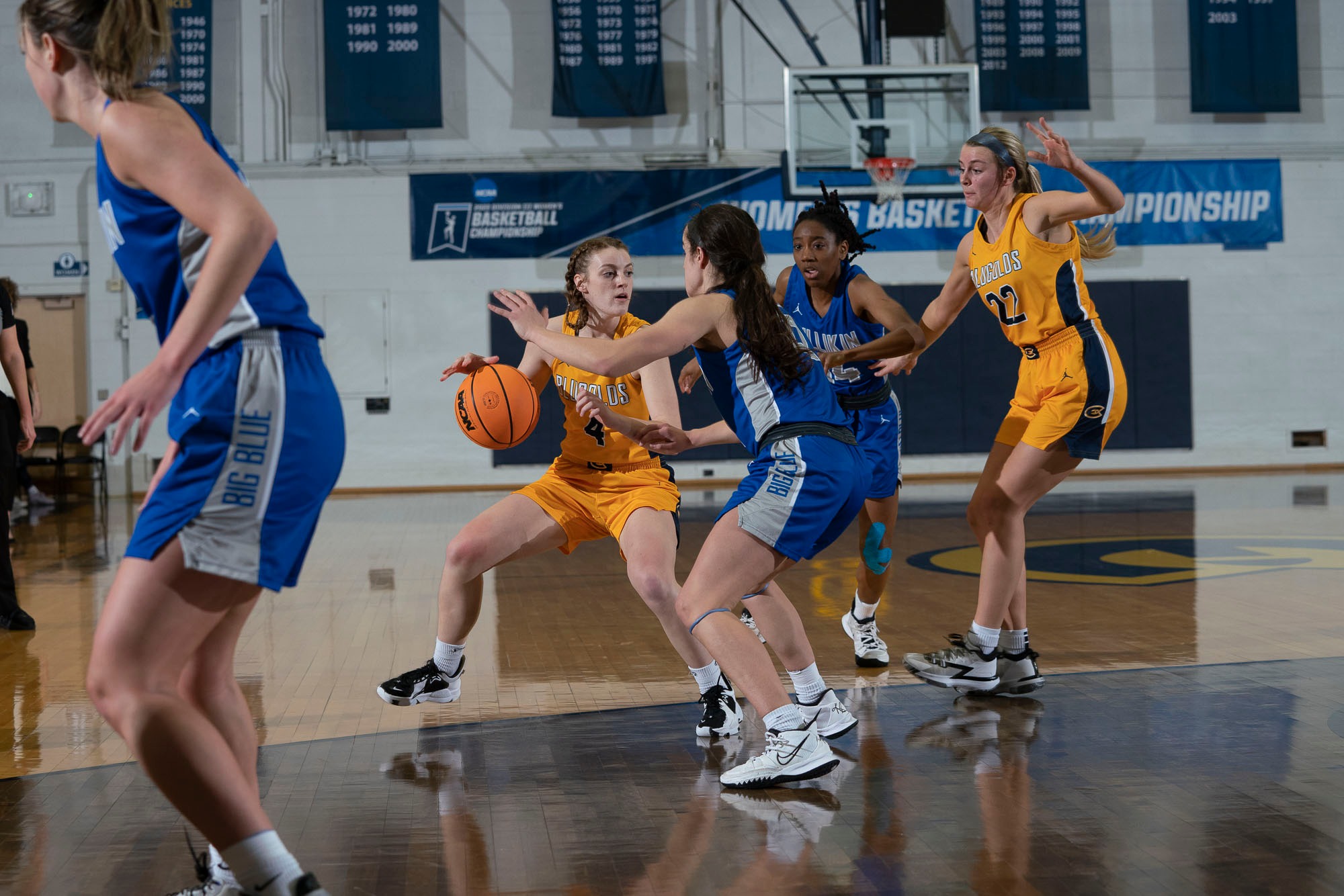 Brianna Nelson - 2023-24 - Women's Basketball - University of Wisconsin ...