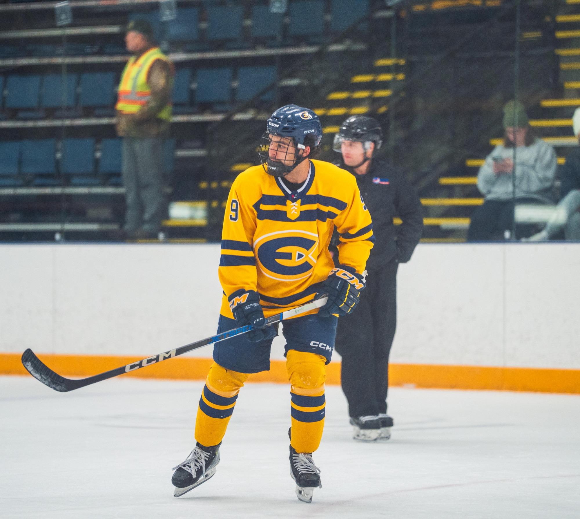 Blugolds to visit Aurora in first round of NCAA Men's Hockey ...
