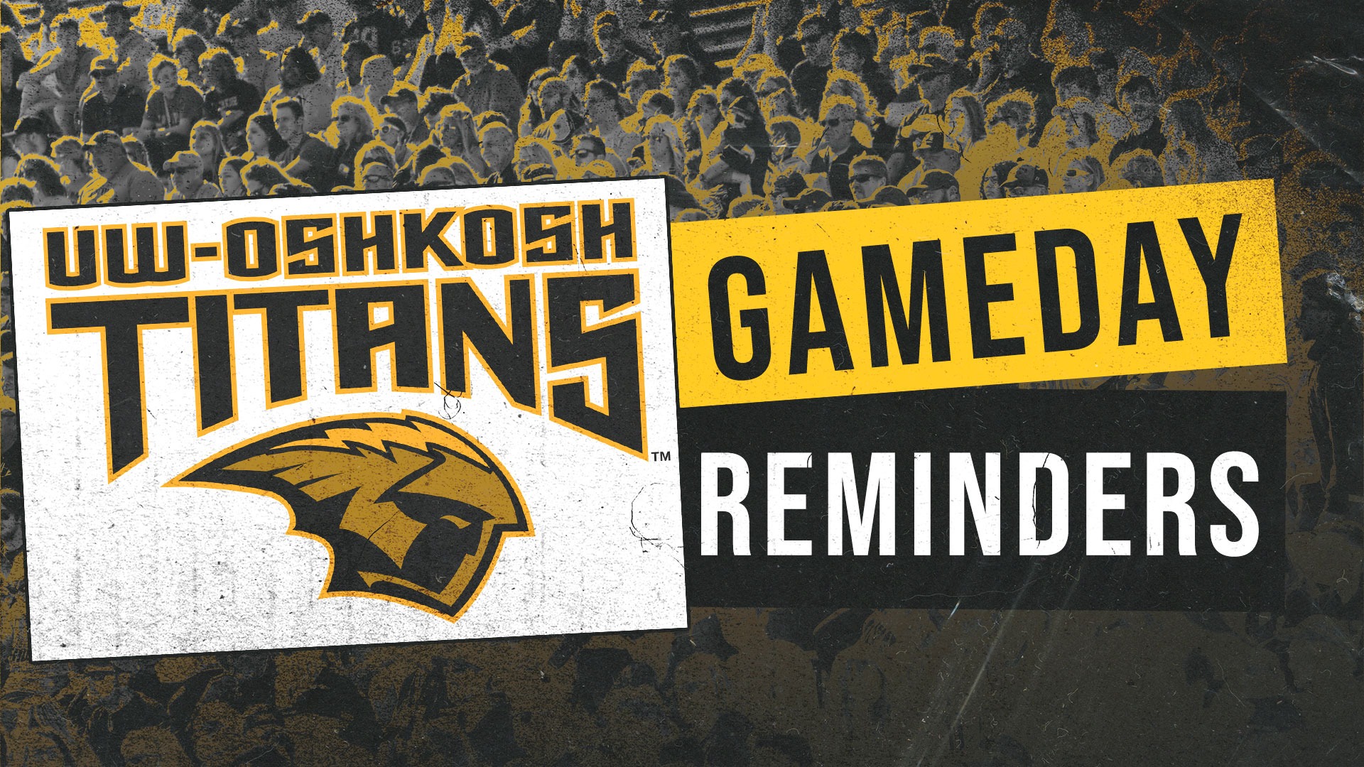 Titan Athletics Launches BSN Sideline Store - University of Wisconsin ...