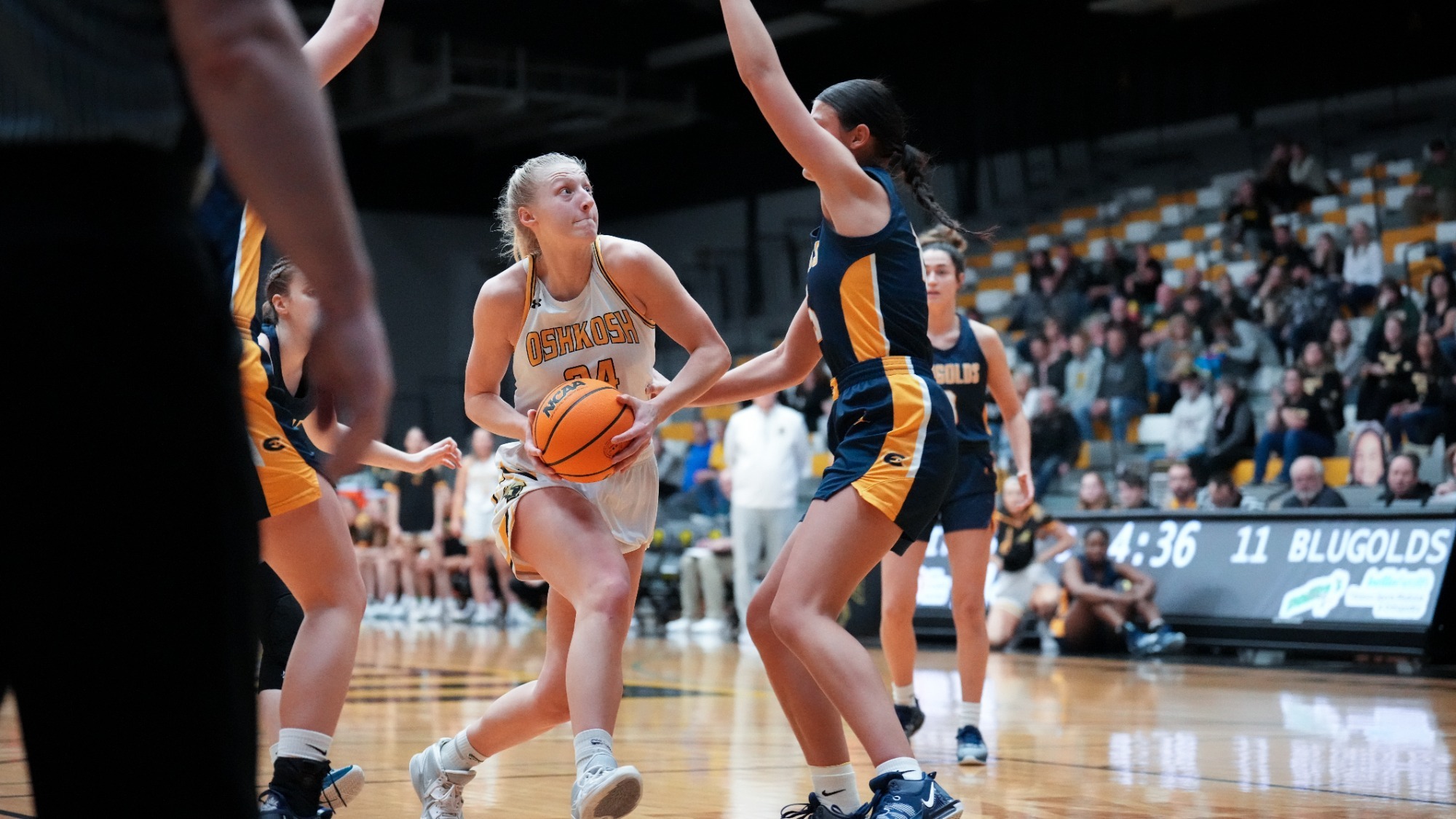 Jansen Introduced As 14th Head Women's Basketball Coach - University of ...