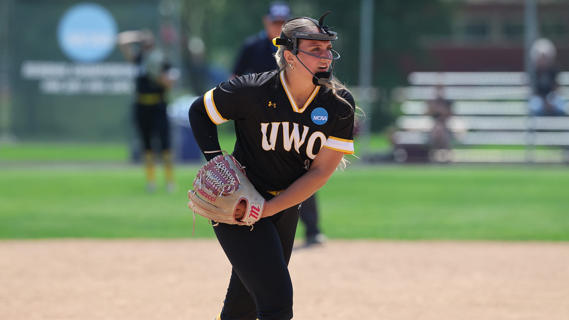 Titans' NCAA Regional Game Against Concordia Wisconsin Suspended ...