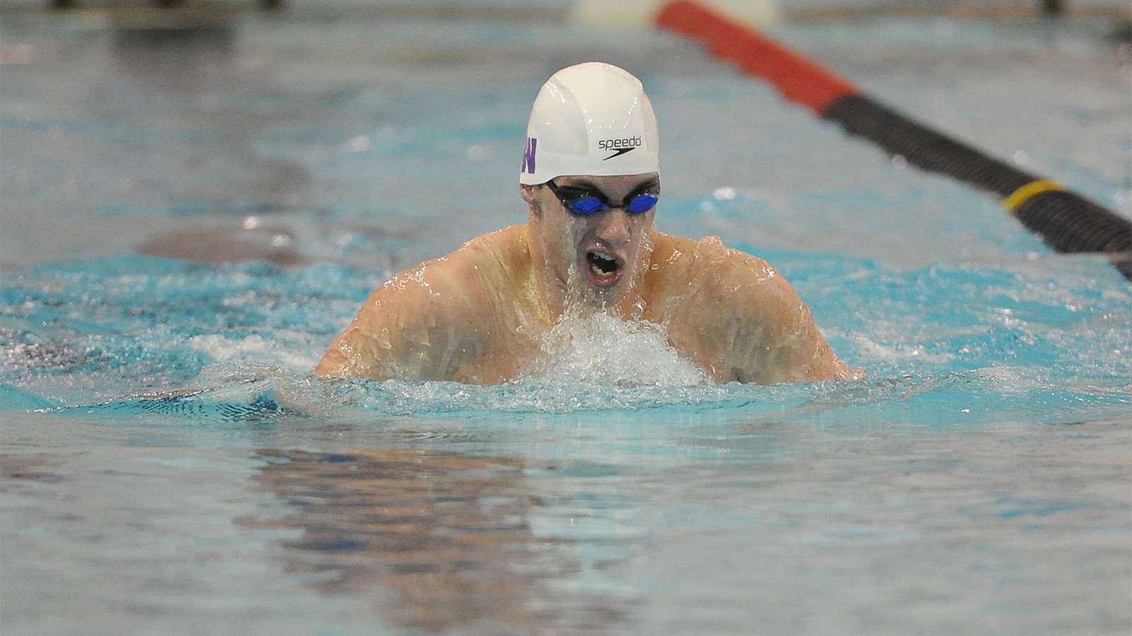 Alex Carroll - 2016-17 - Men's Swimming/Diving - University of ...