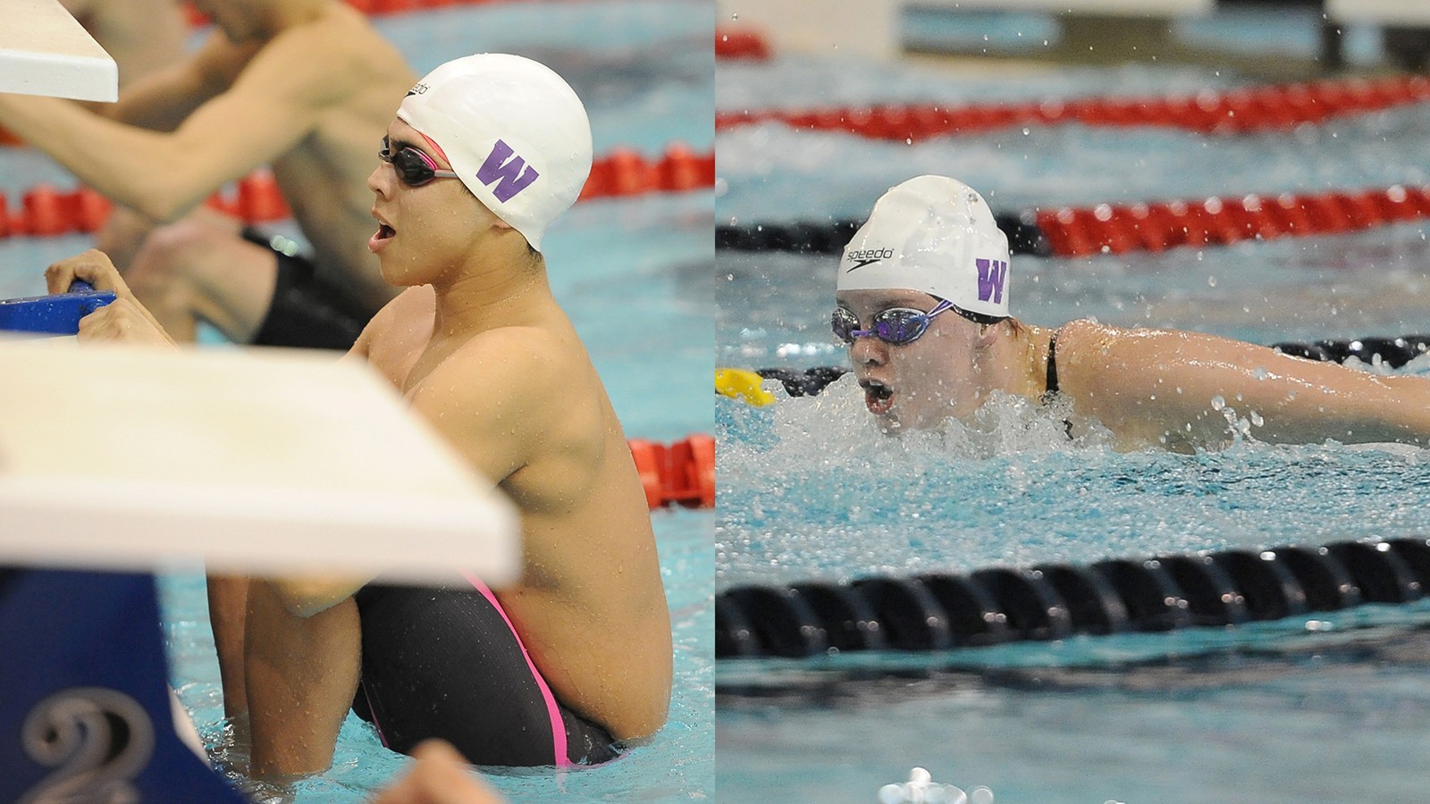 Dan Bielski - 2016-17 - Men's Swimming/Diving - University of Wisconsin ...