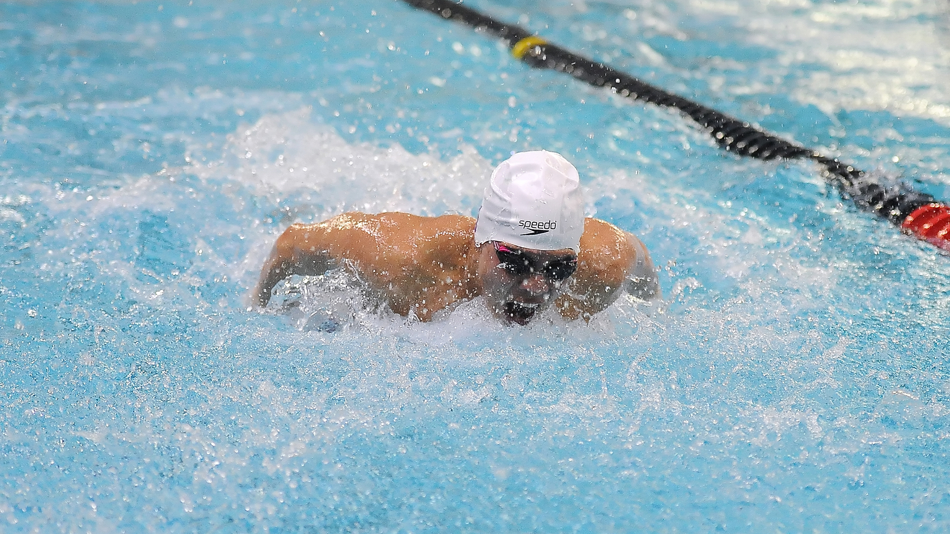 Dan Bielski - 2016-17 - Men's Swimming/Diving - University of Wisconsin ...