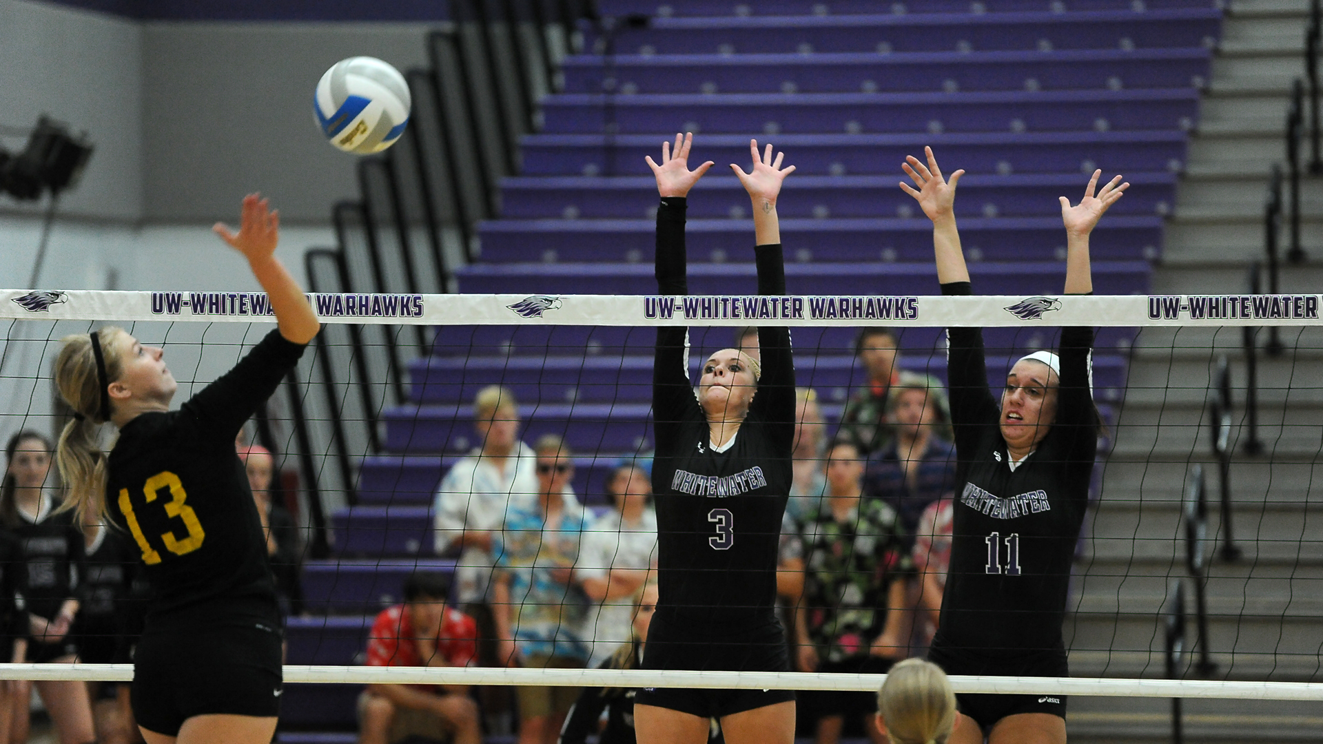 Staci Hasler - 2016 - Volleyball - University of Wisconsin-Whitewater Athletics