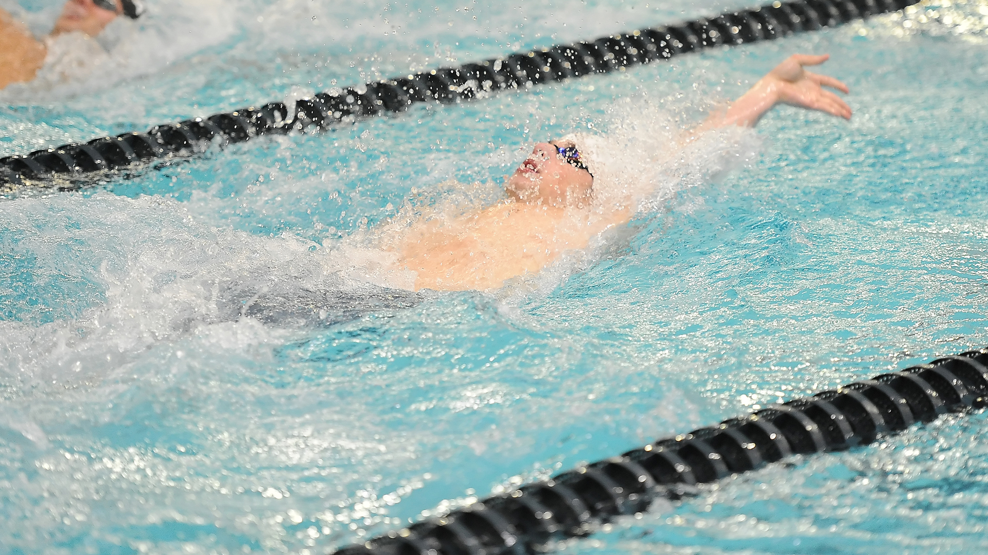 Sam Piette - 2017-18 - Men's Swimming/Diving - University of Wisconsin ...