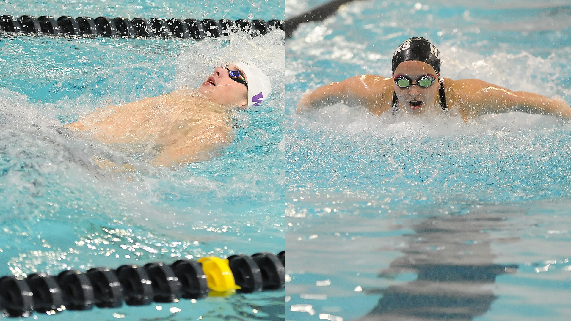 Dan Bielski - 2016-17 - Men's Swimming/Diving - University of Wisconsin ...