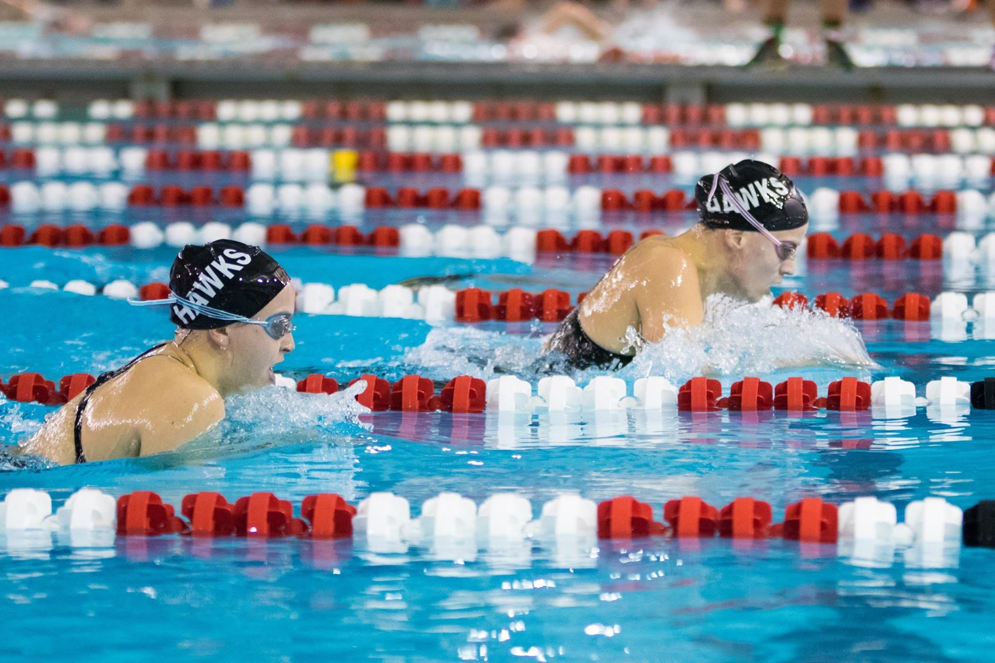 Erin Hawker - 2018-19 - Women's Swimming/Diving - University of ...
