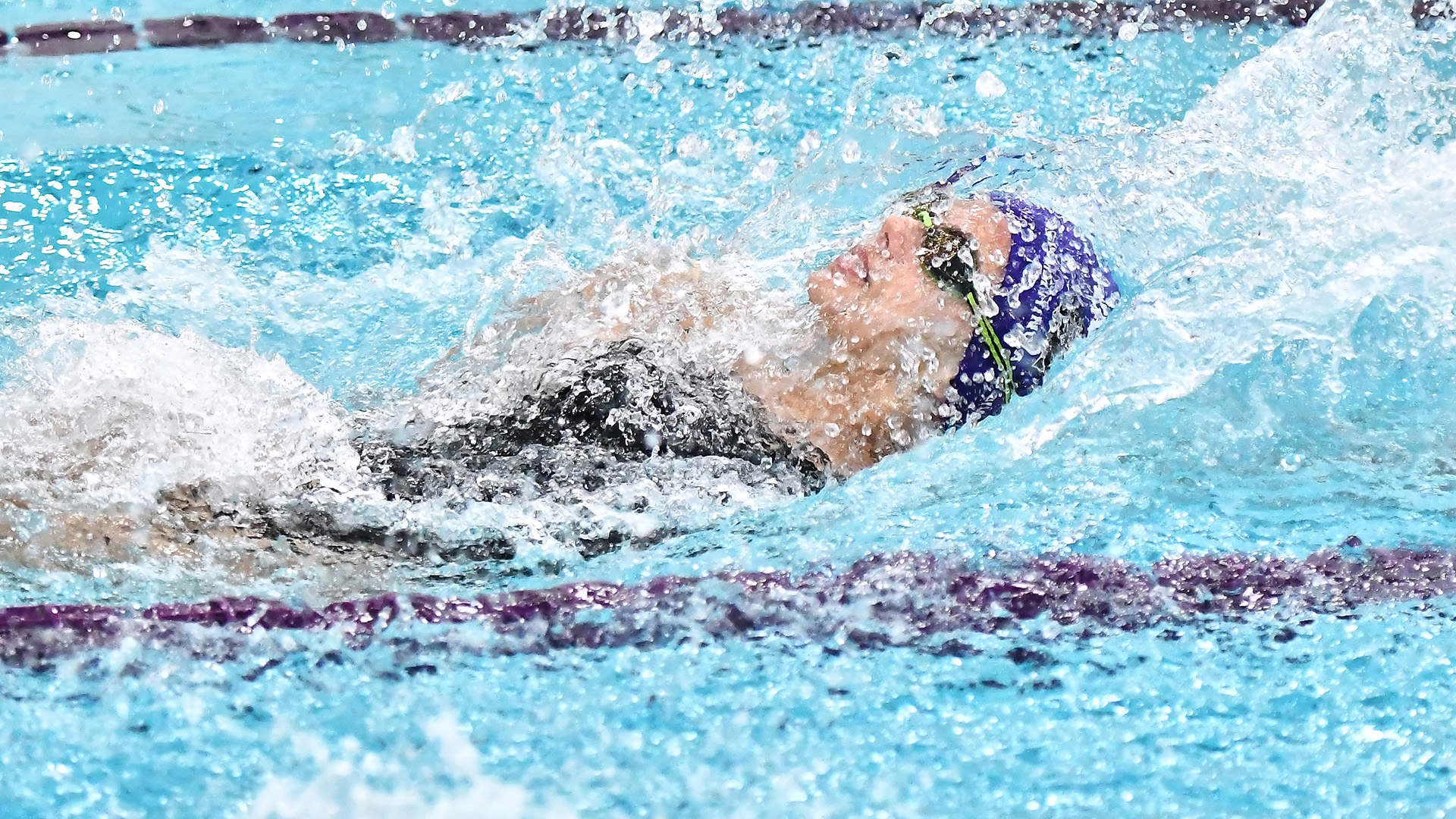 Renata Schlomann - 2019-20 - Women's Swimming/Diving - University of ...
