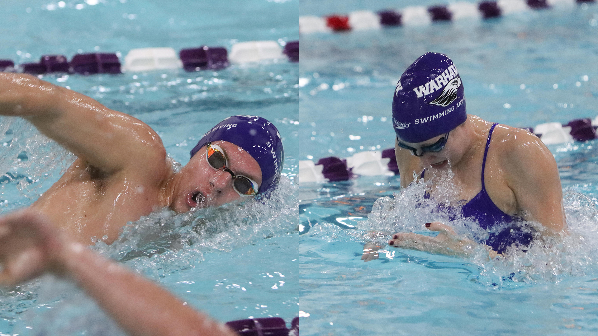 Swim and Dive Teams Host UW-Stevens Point - University of Wisconsin ...