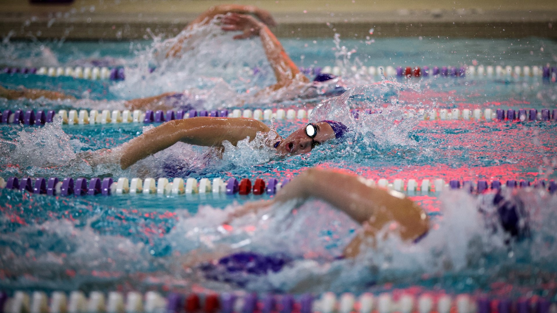 Swimmers Compete in High-Powered Wisconsin Showcase - University of ...