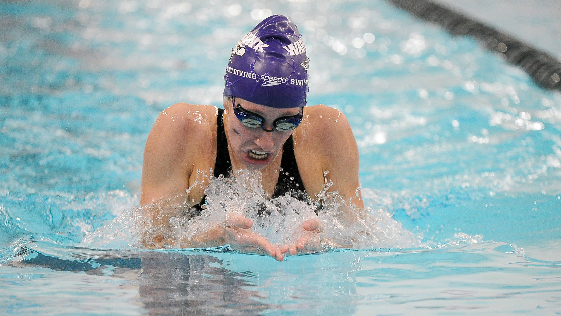 Swim and Dive Teams Complete Third Day at WIAC Meet - University of ...