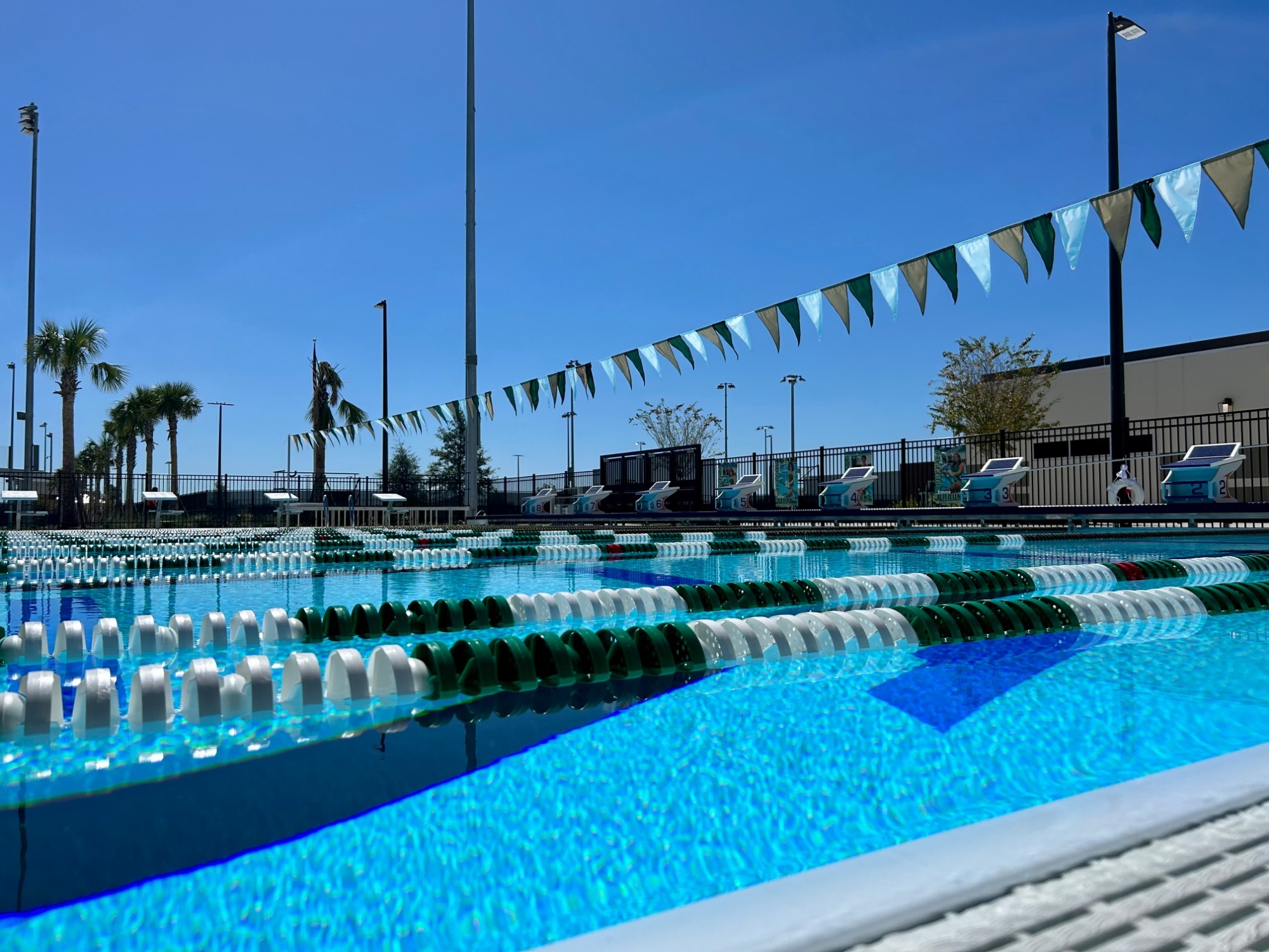 VHS Swim Teams Sweep Second At District Meet - VHS Buffalo Athletics