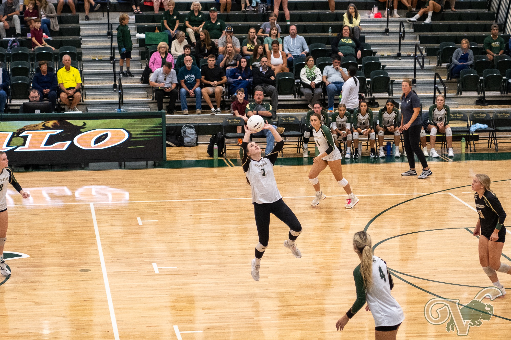 VHS Volleyball Announces 2024 Schedule - VHS Buffalo Athletics