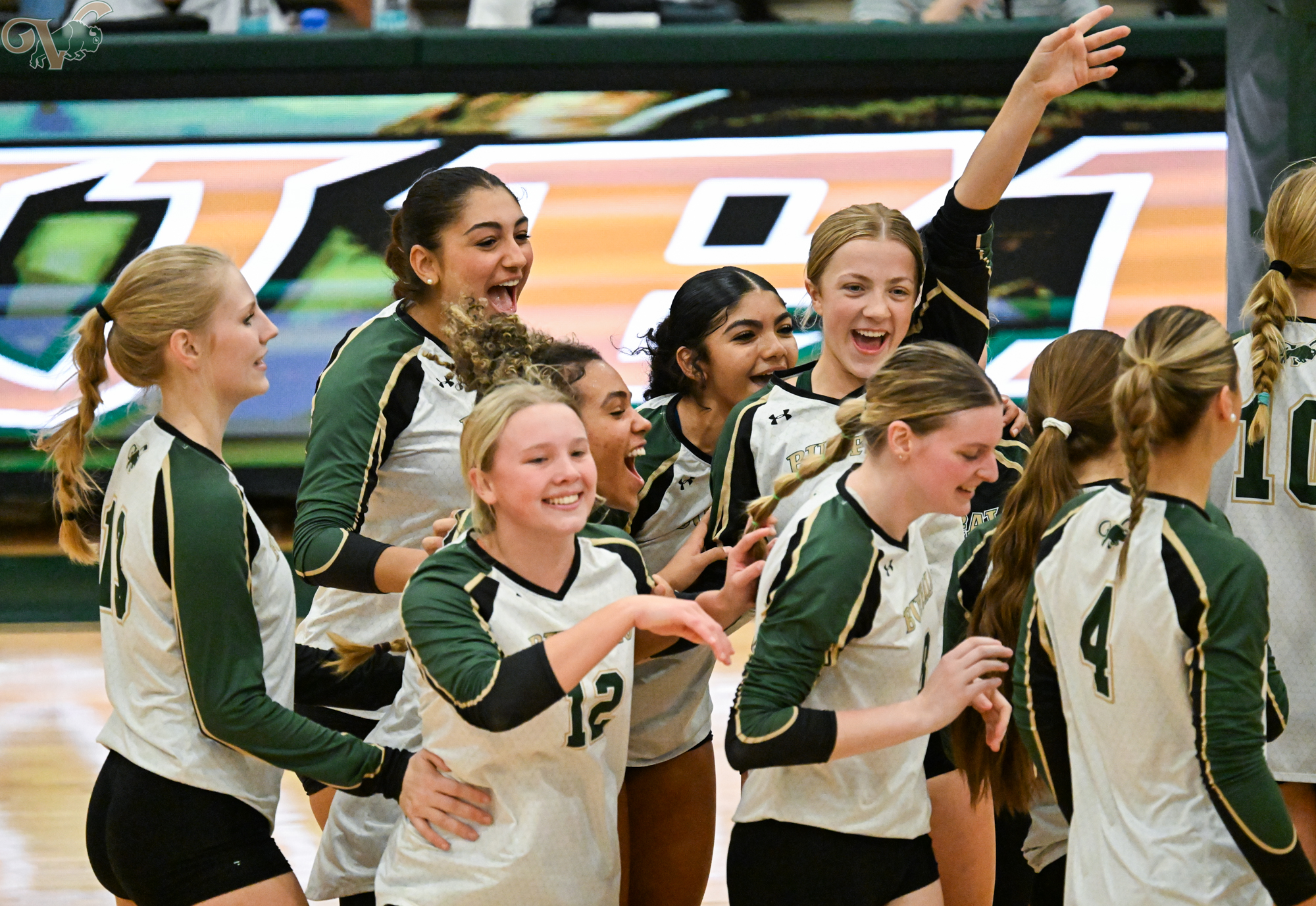 Year in Review: VHS Athletics in 2024-25 - VHS Buffalo Athletics