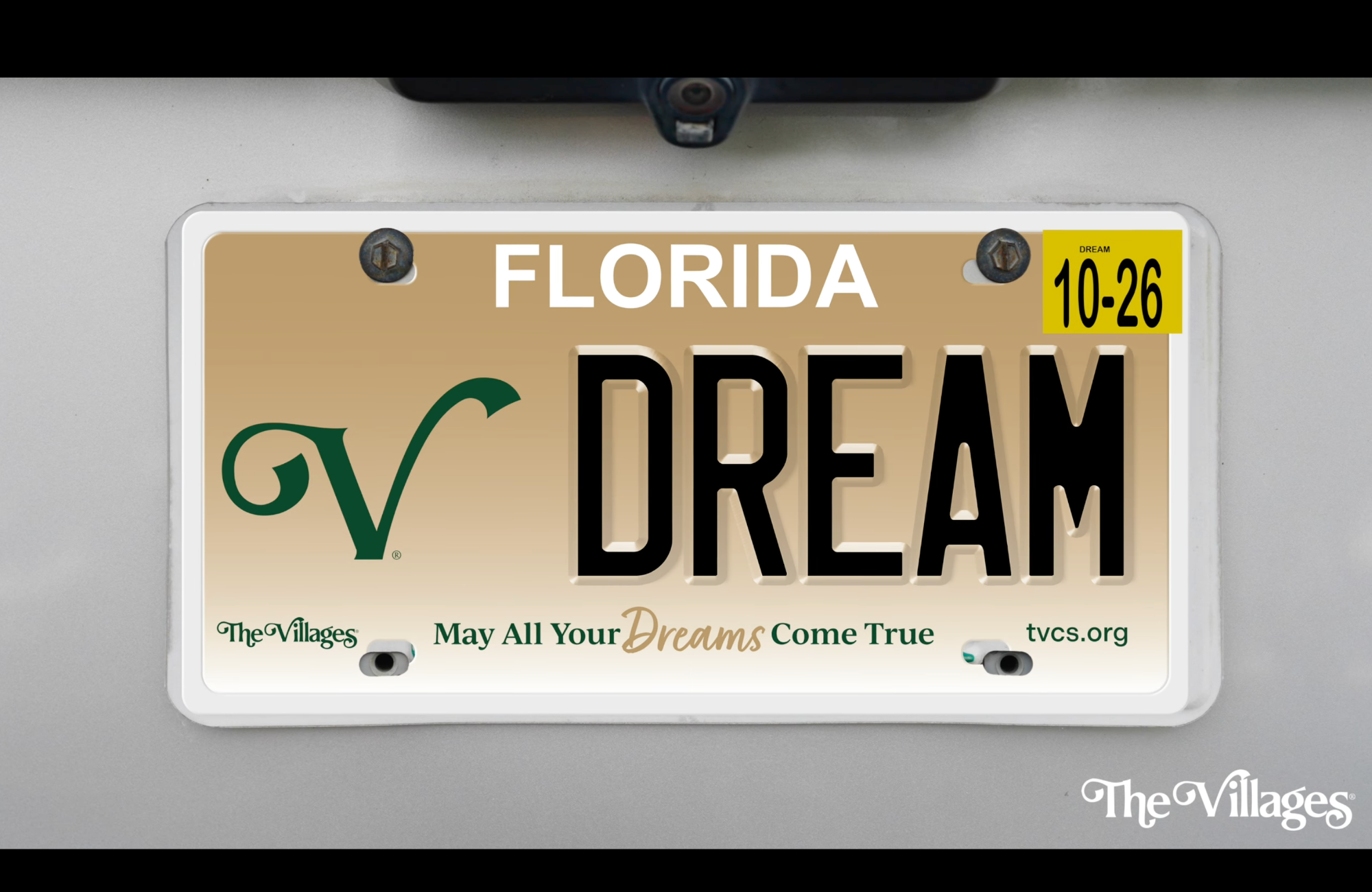 VHS Senior Class Sends 21 Athletes to Next Level - VHS Buffalo Athletics