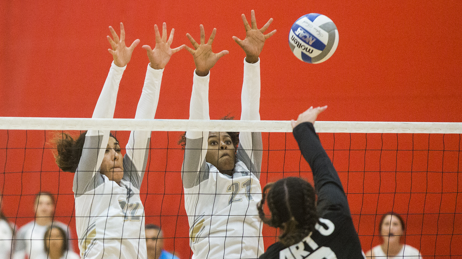 Jordon Wilson - Volleyball - Stanislaus State Athletics