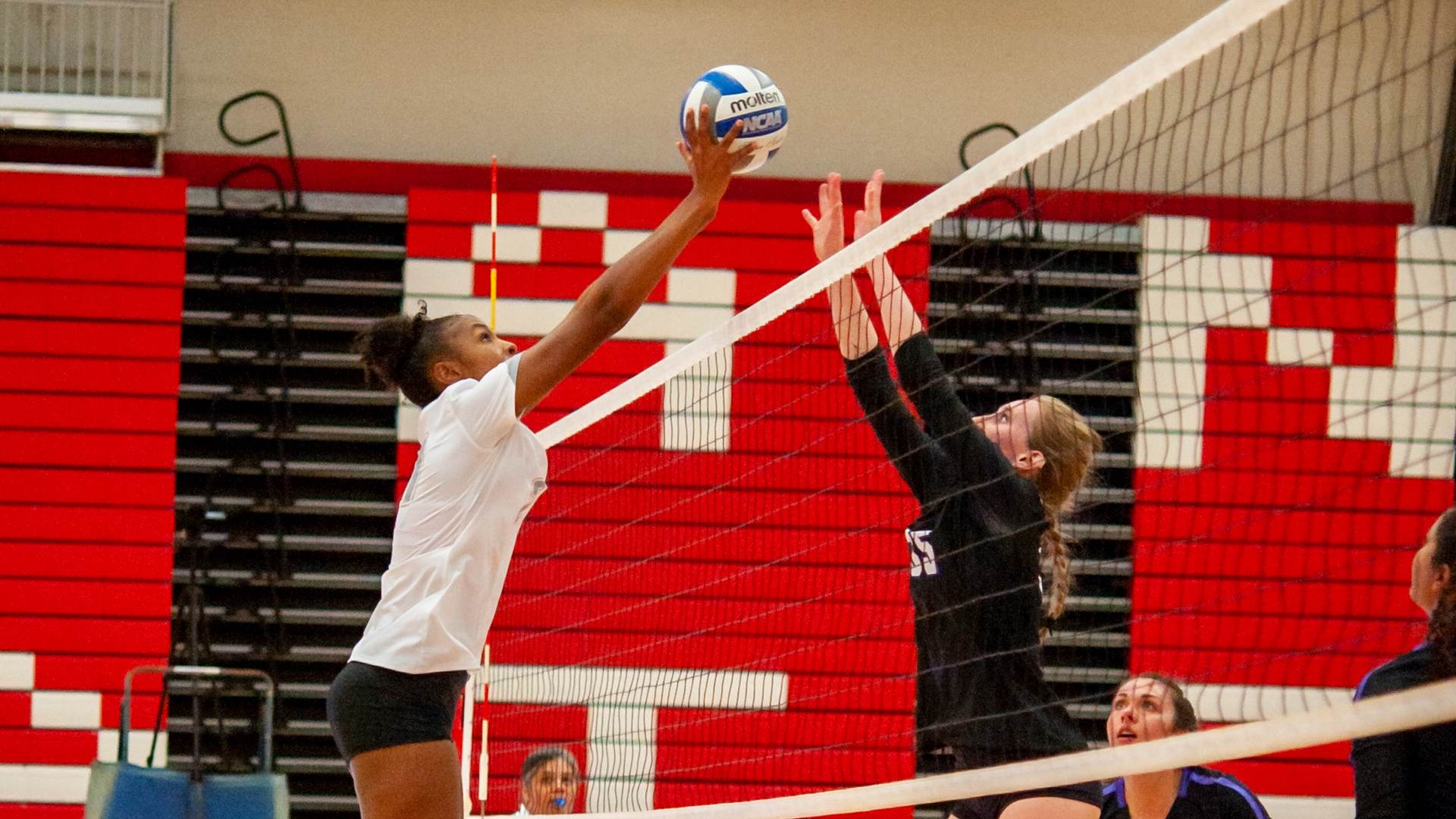 Jordon Wilson - Volleyball - Stanislaus State Athletics