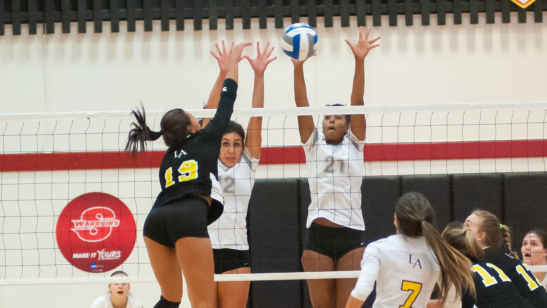 Jordon Wilson - Volleyball - Stanislaus State Athletics