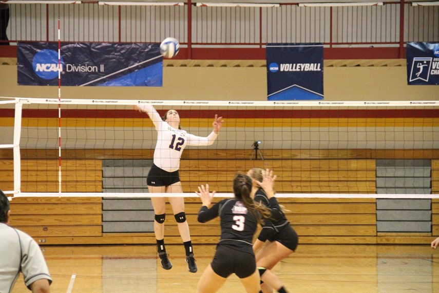 Rachel Robb - Women's Volleyball - West Chester University Athletics