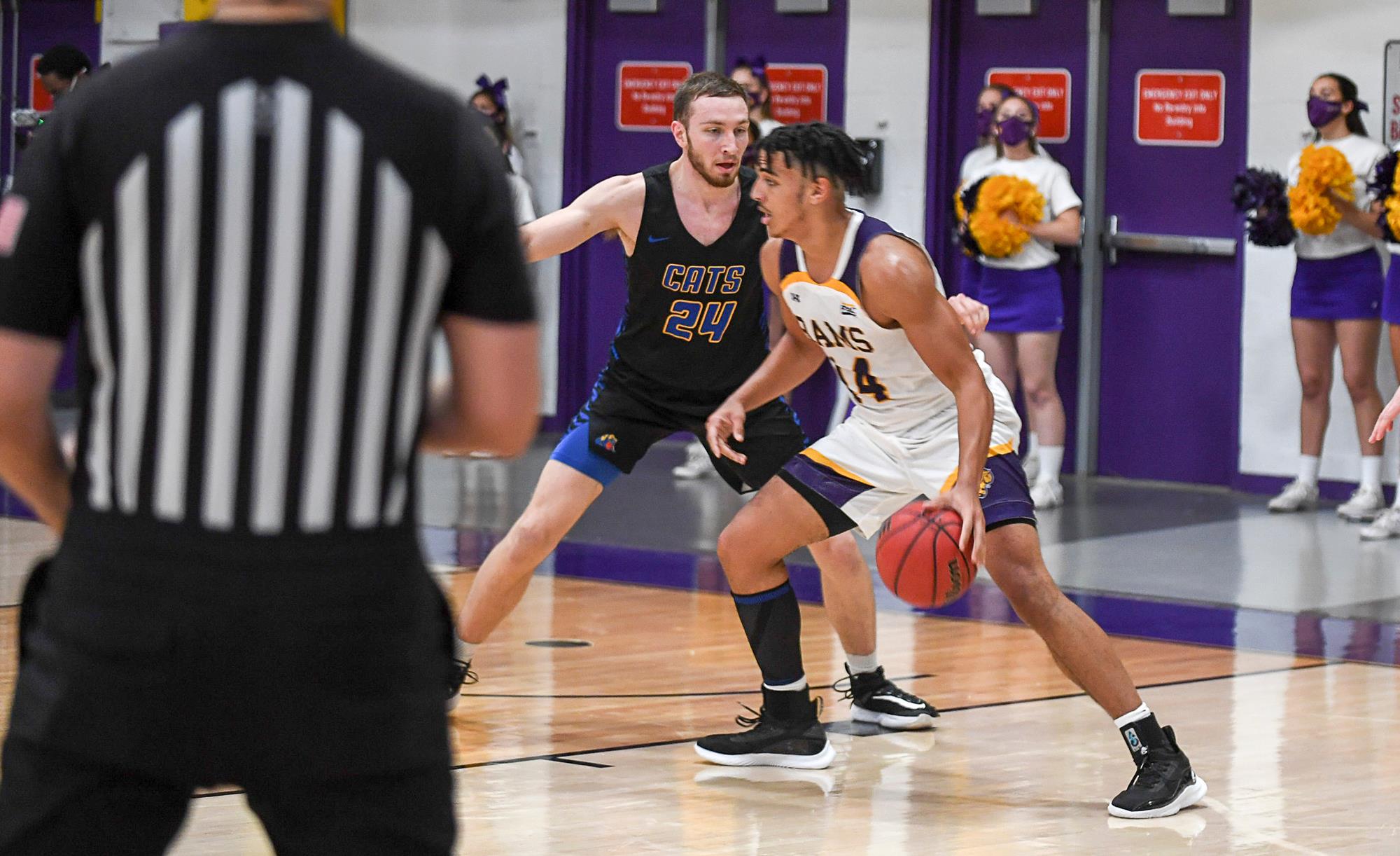 Matt Dade - Men's Basketball - West Chester University Athletics