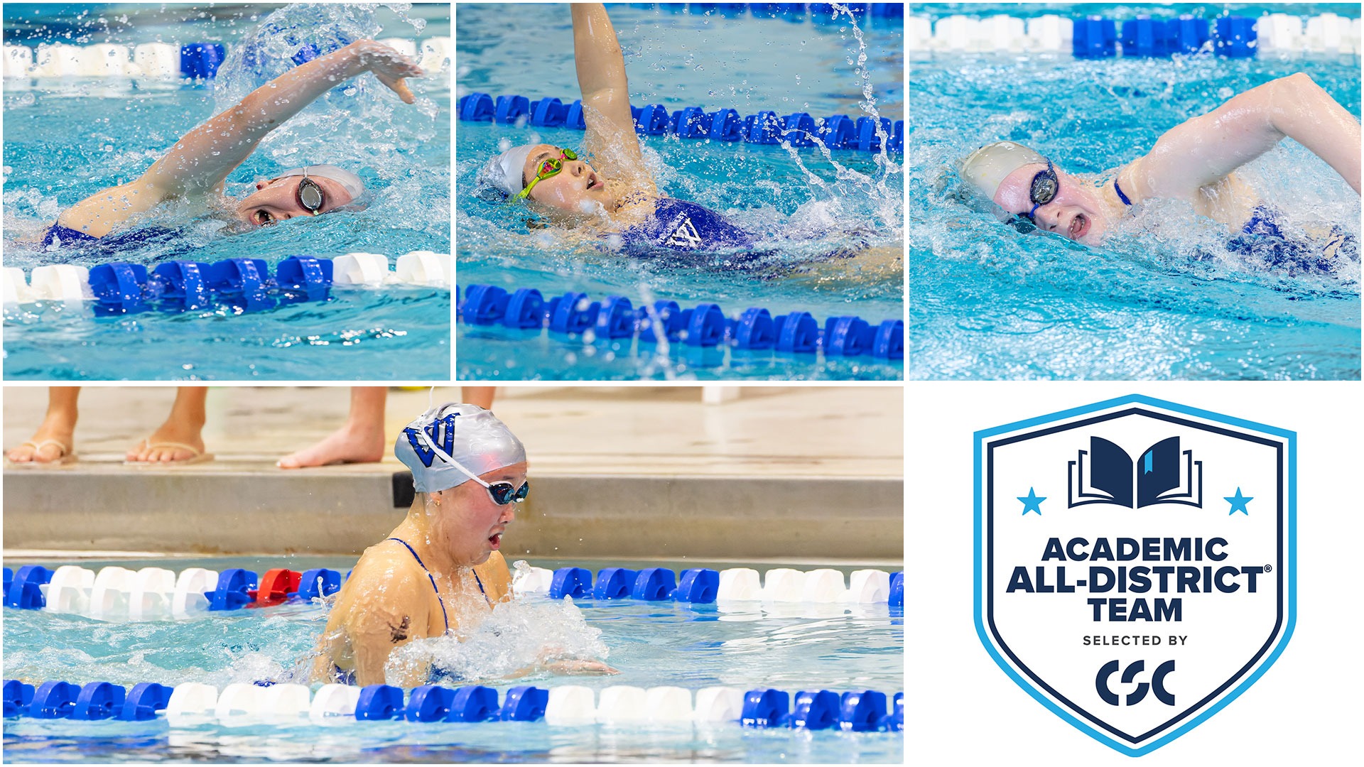Wellesley Swimming & Diving Prepared for 2025 NEWMAC Championships ...