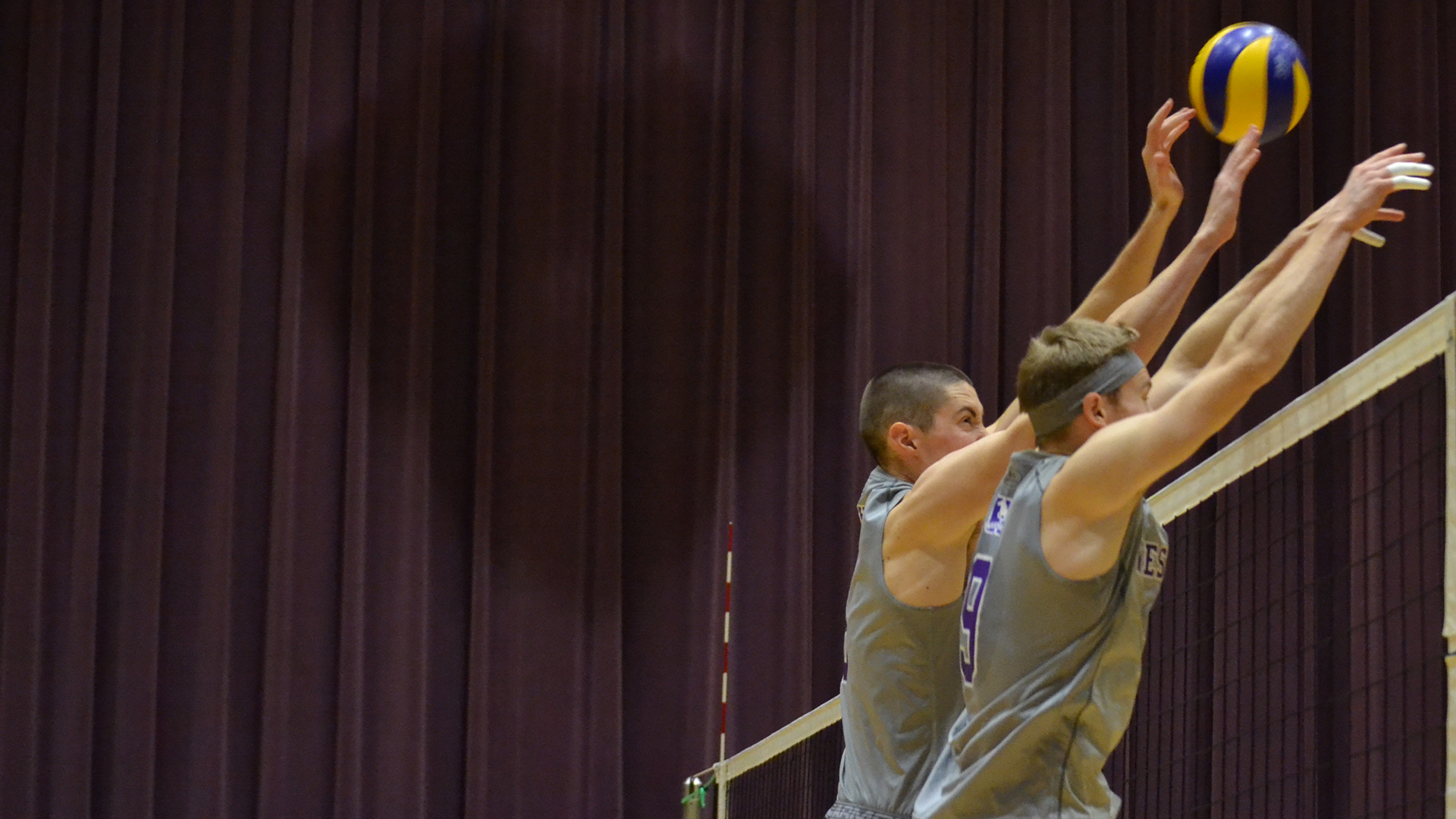 Chris Newcombe - Men's Volleyball - Western Mustangs Sports