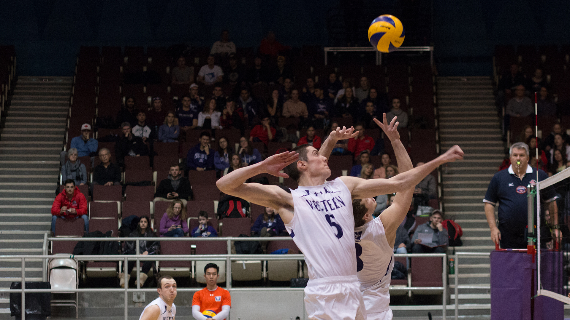 Chris Newcombe - Men's Volleyball - Western Mustangs Sports