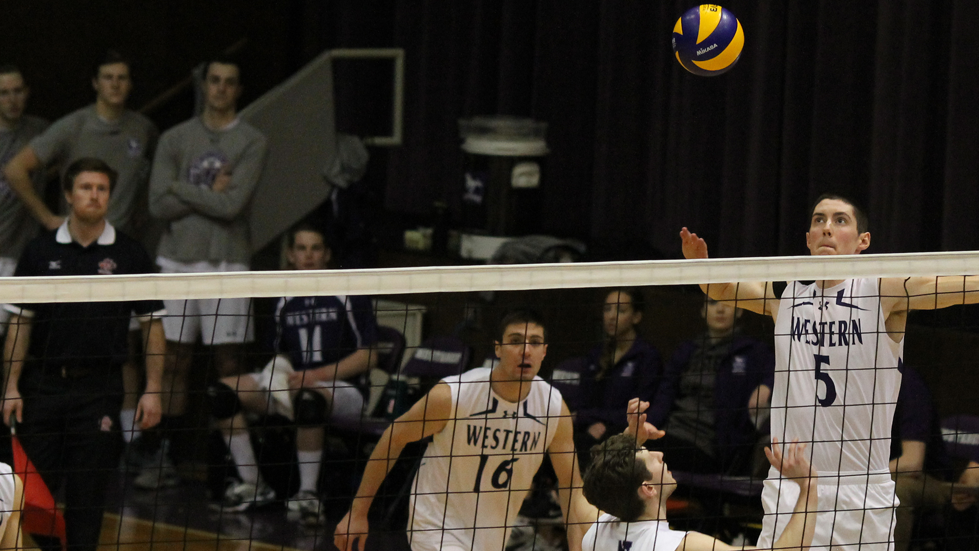 Chris Newcombe - Men's Volleyball - Western Mustangs Sports