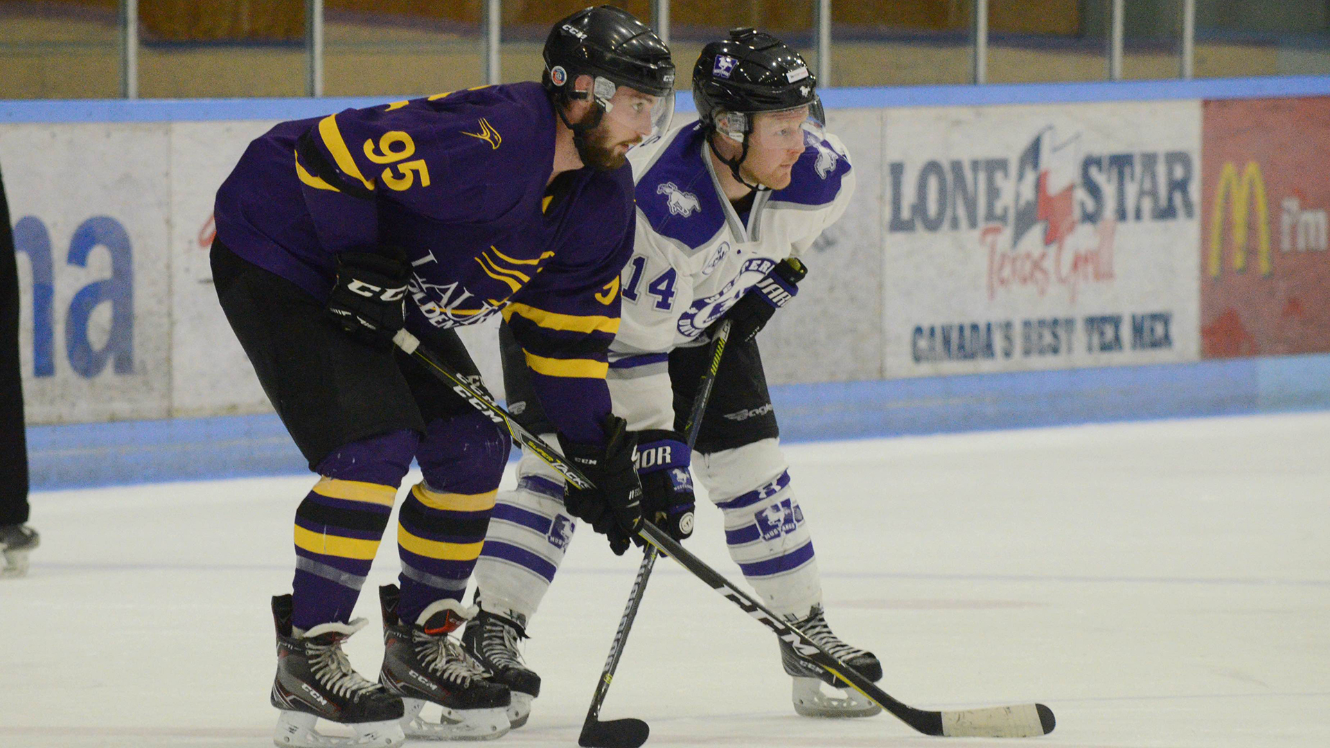 Mitchell Brooks - Men's Ice Hockey - Western Mustangs Sports