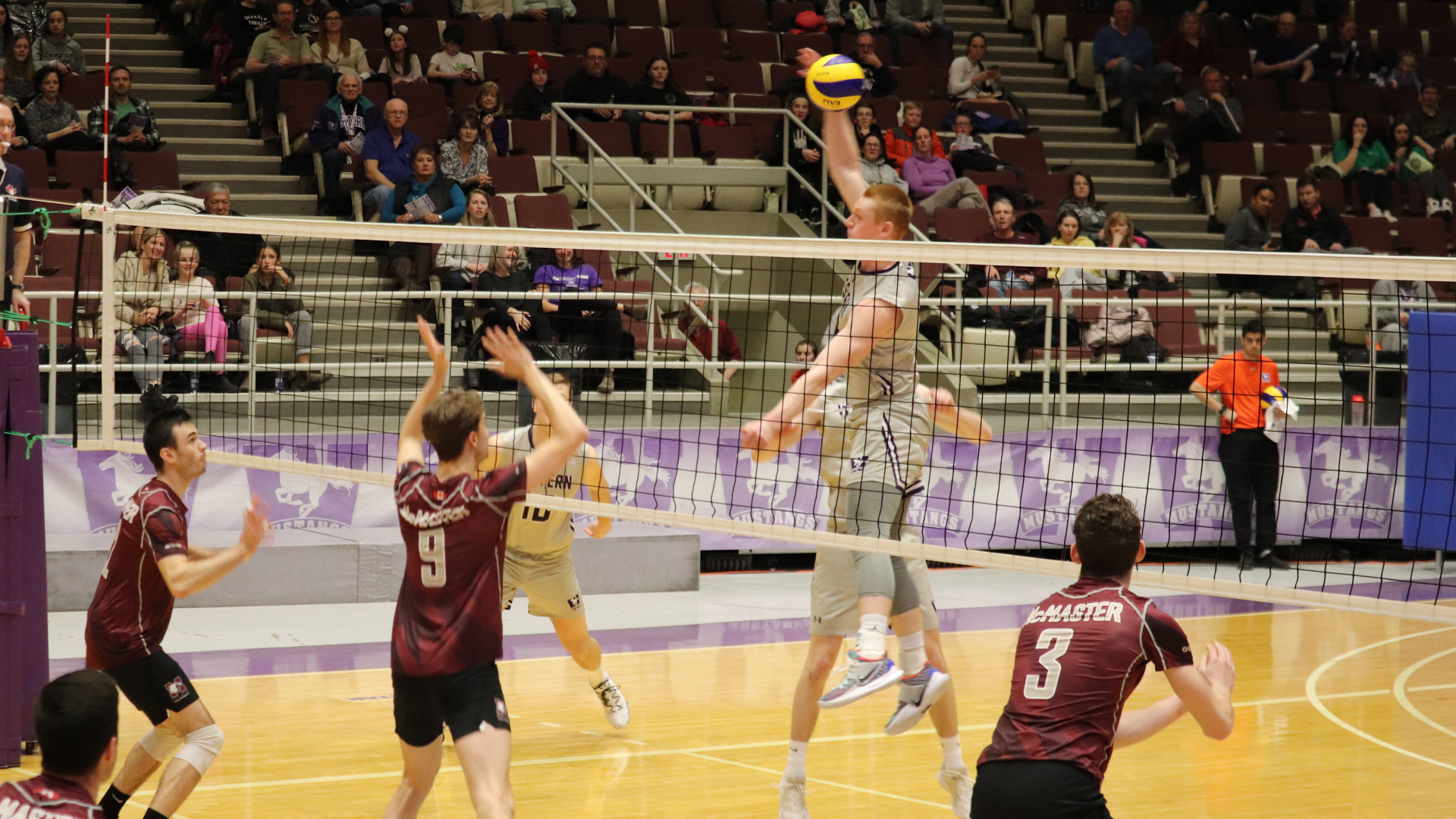 Ryan Scott - Men's Volleyball - Western Mustangs Sports