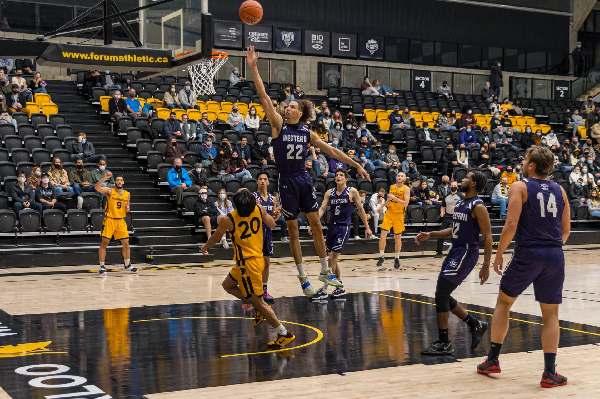 Aaron Tennant - Men's Basketball - Western Mustangs Sports